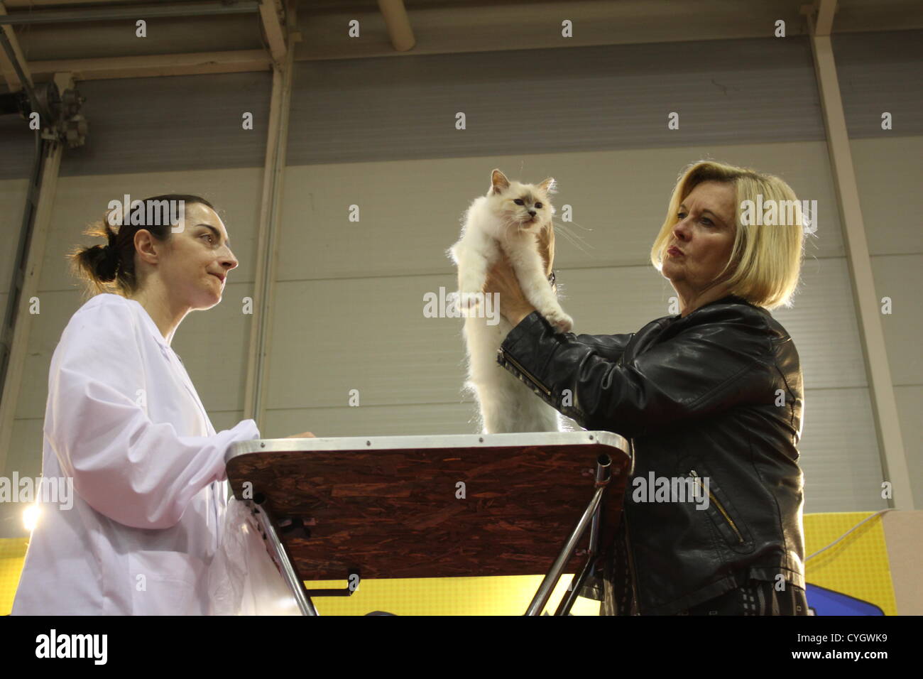 Cages of show cats hi-res stock photography and images - Alamy