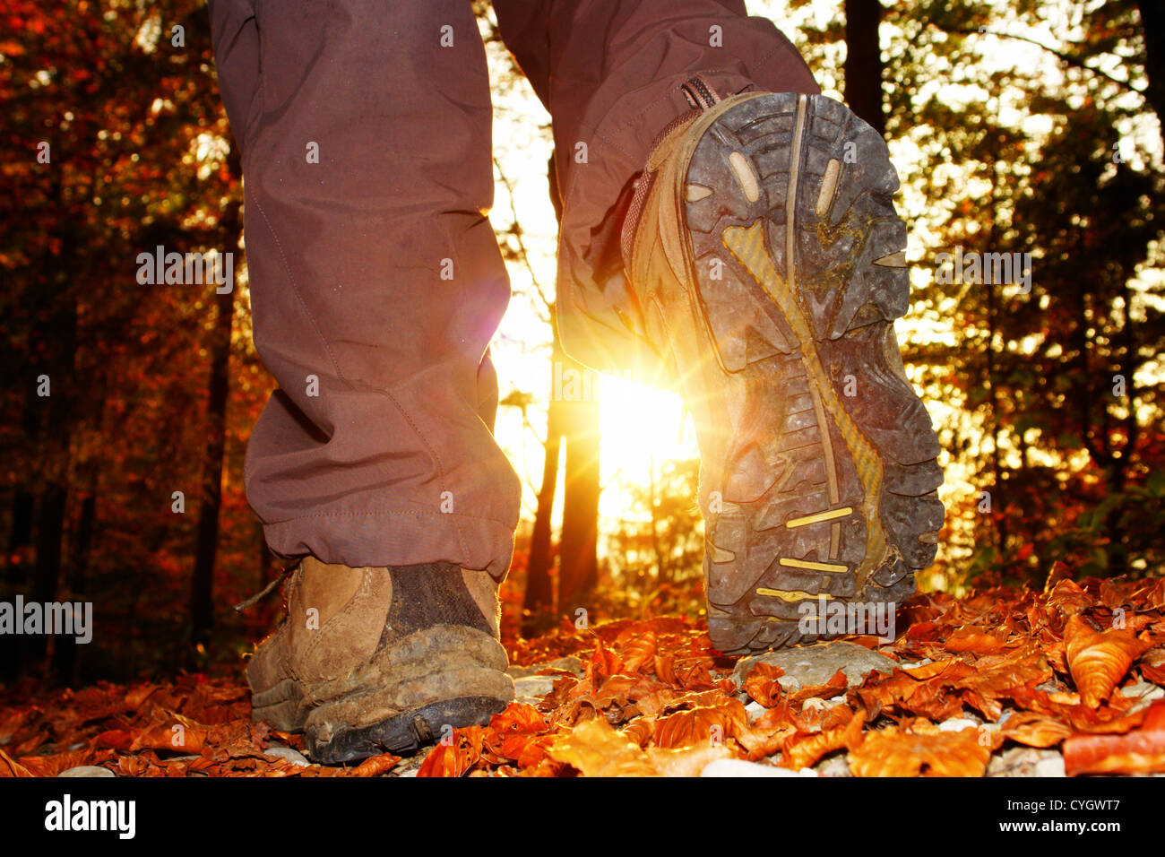 From the ground hi-res stock photography and images - Alamy