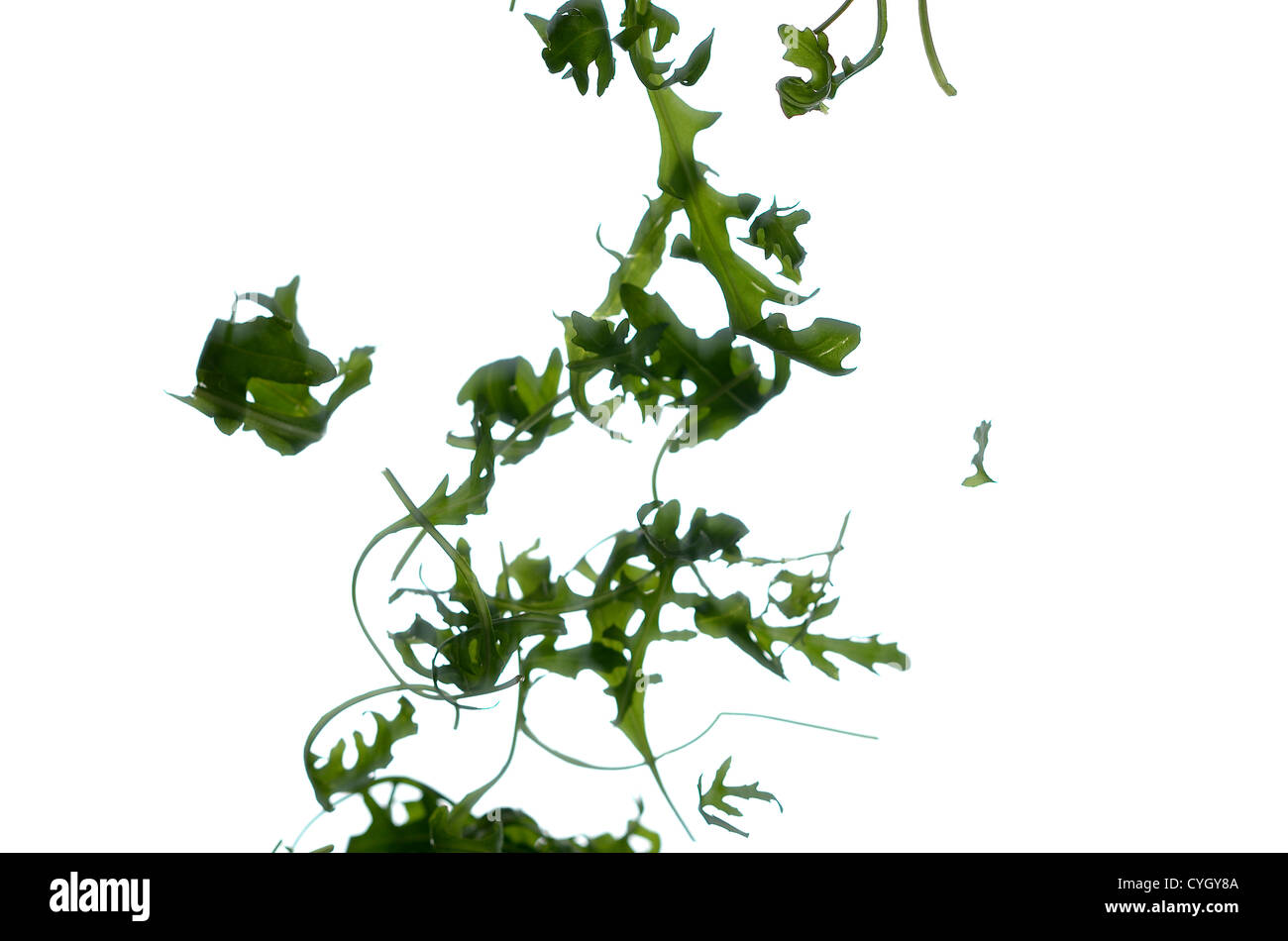 The falling rocket hi-res stock photography and images - Alamy