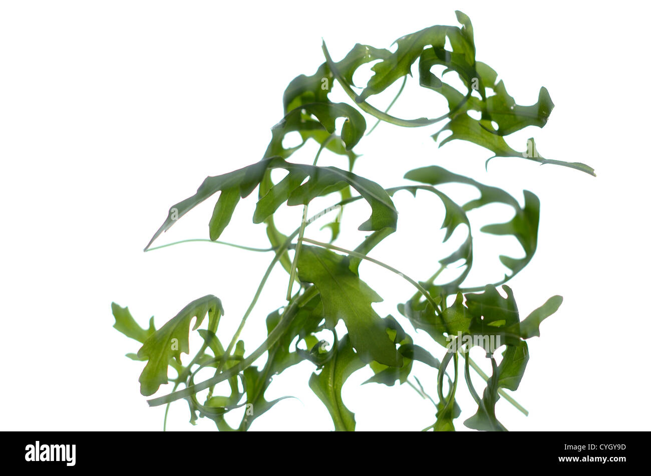 The falling rocket hi-res stock photography and images - Alamy