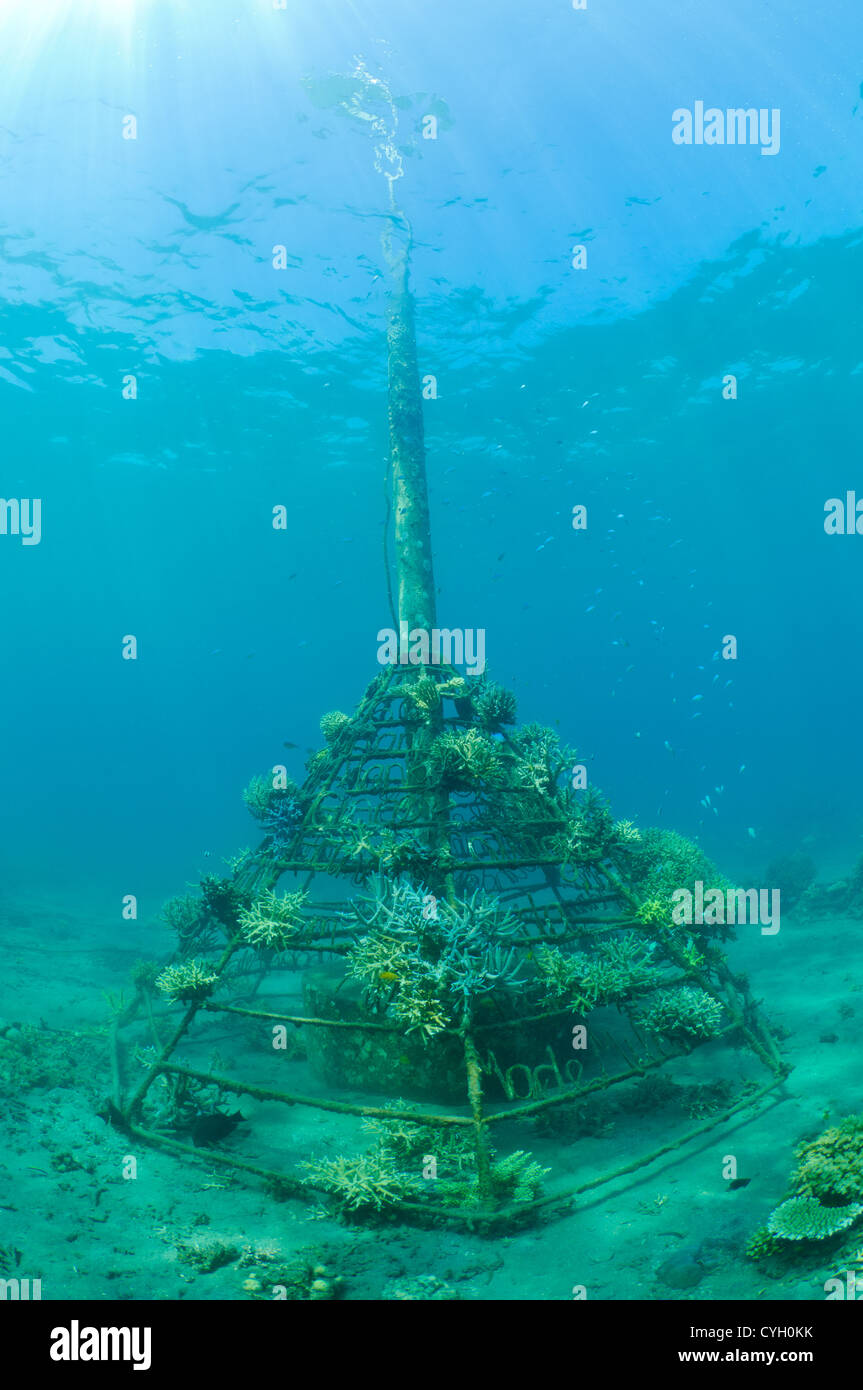 A Biorock installation powered by wind and solar power, Pemuteran, Bali ...