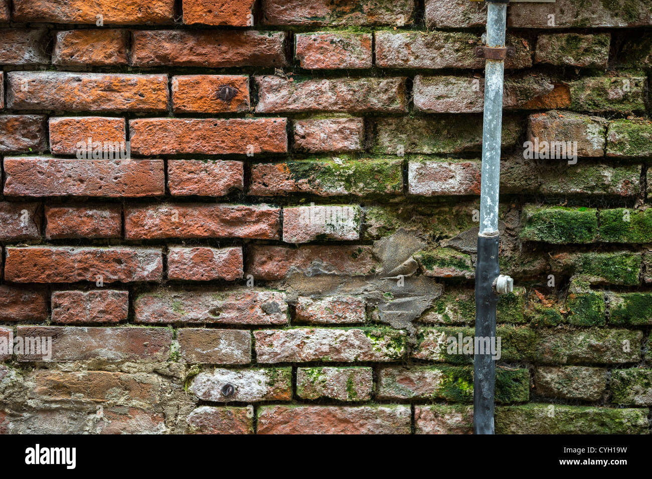 Brick covered in moss hi-res stock photography and images - Alamy