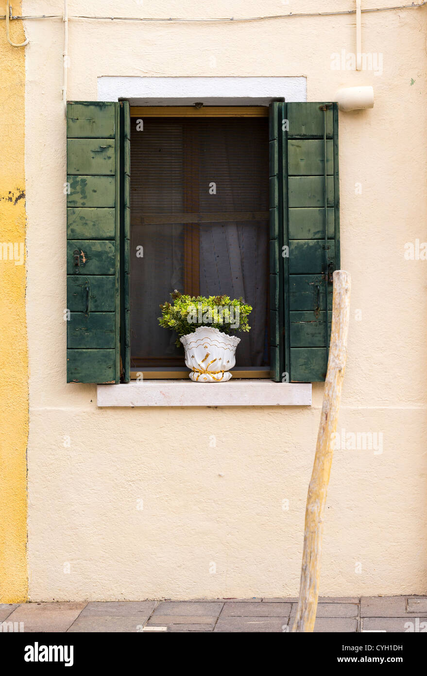 A window into someone's home with green shutters against a cream ...