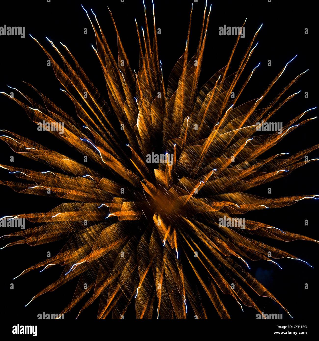Firework exploding in a burst of orange streamers tipped with blue ...