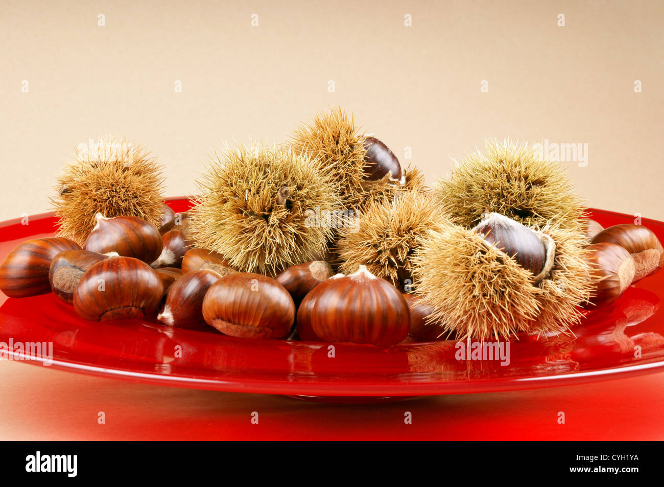 Lot raw chestnut background hi-res stock photography and images - Alamy