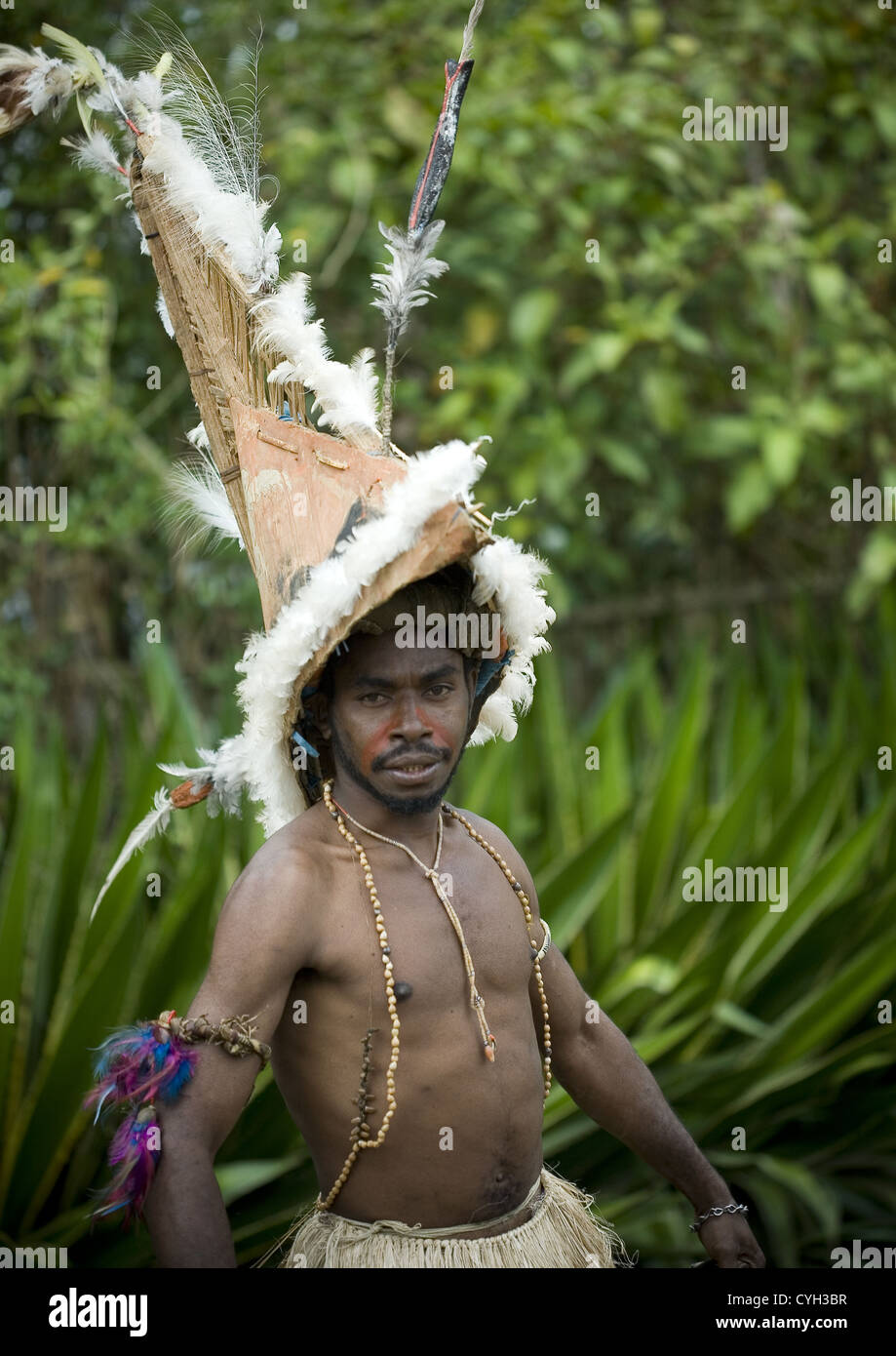 Morobe Warrior During Sing Sing Ceremony, Mount Hagen, Papua New Guinea ...