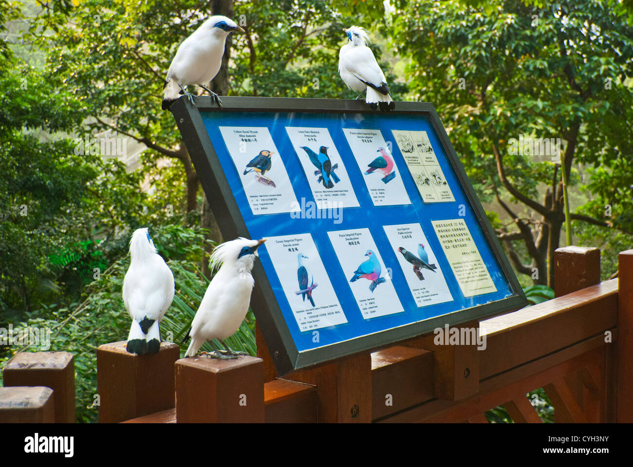 Interior of the Edward Youde Aviary, Hong Kong Park, including species ...
