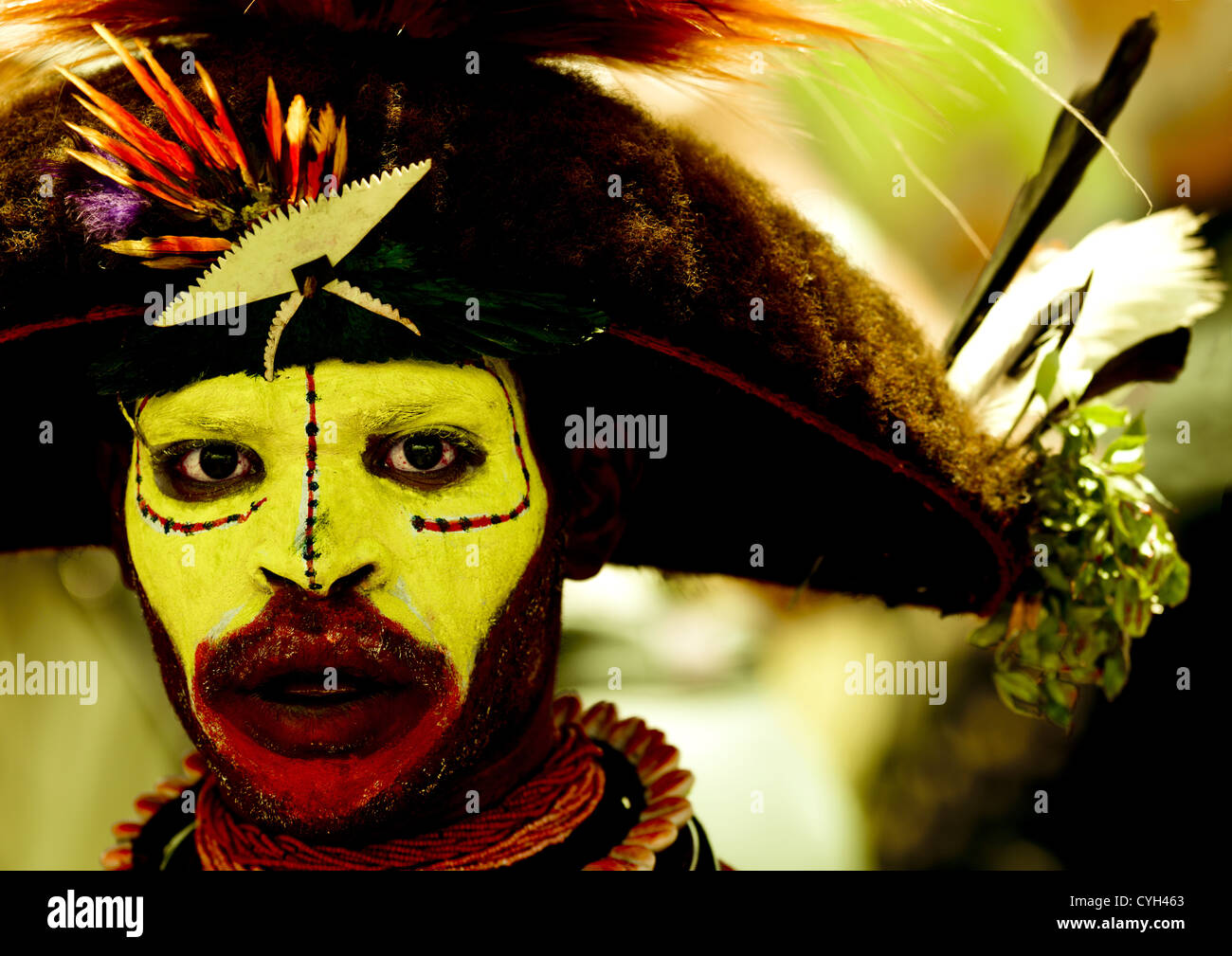 Huli Wigman From Tari During A Sing Sing Ceremony, Mount Hagen, Western ...