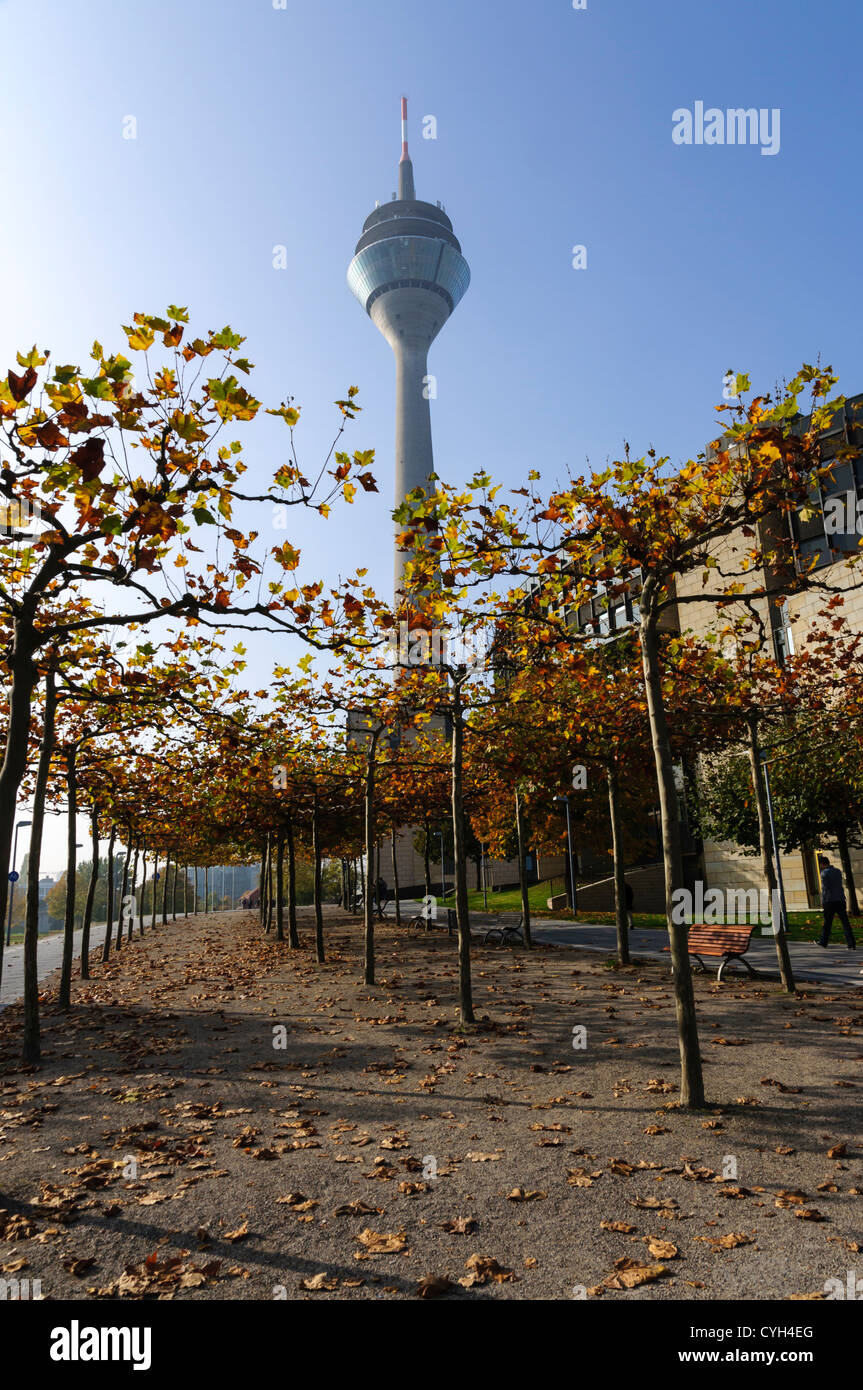 Rhineturm hi-res stock photography and images - Alamy