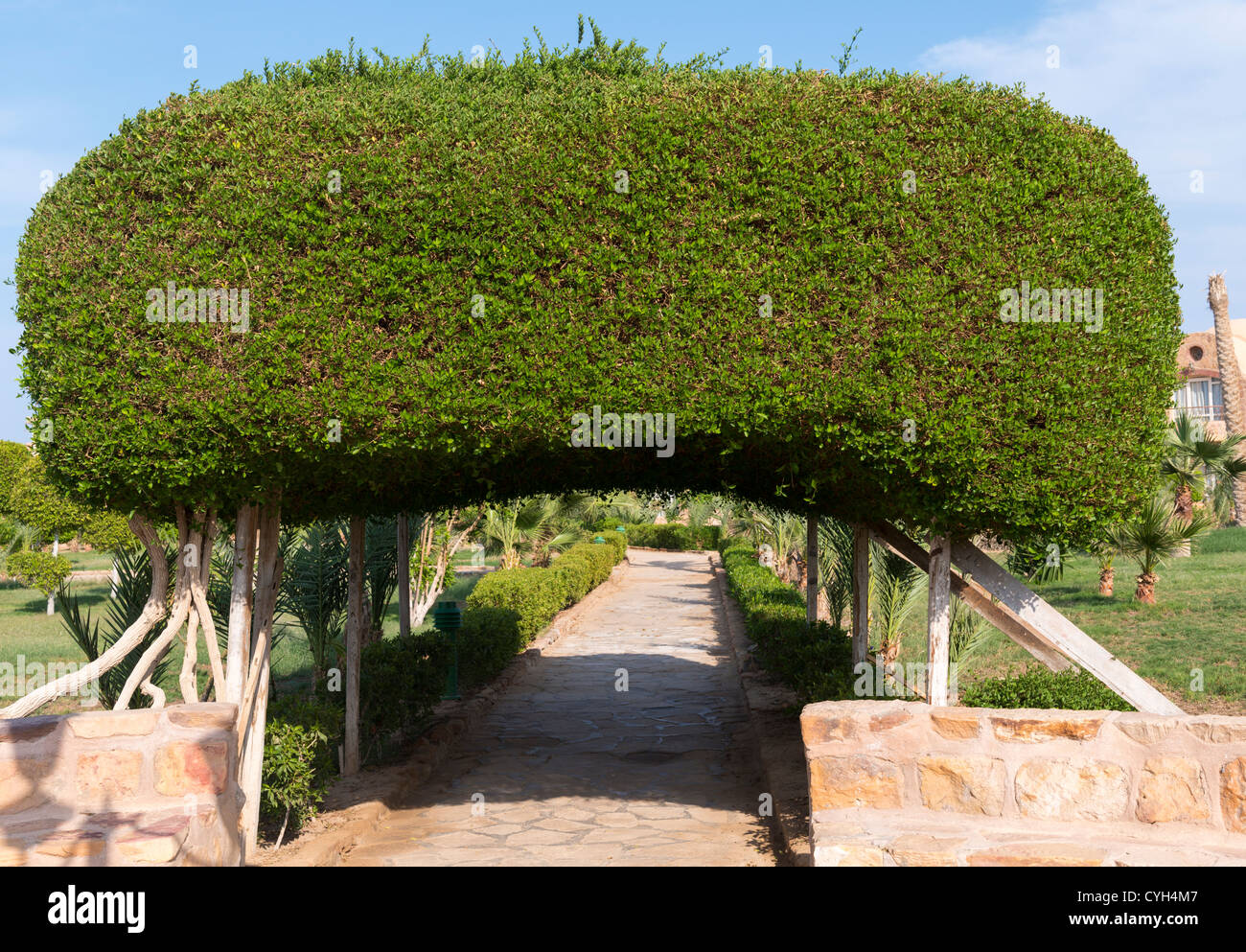 Forming arch hi-res stock photography and images - Alamy