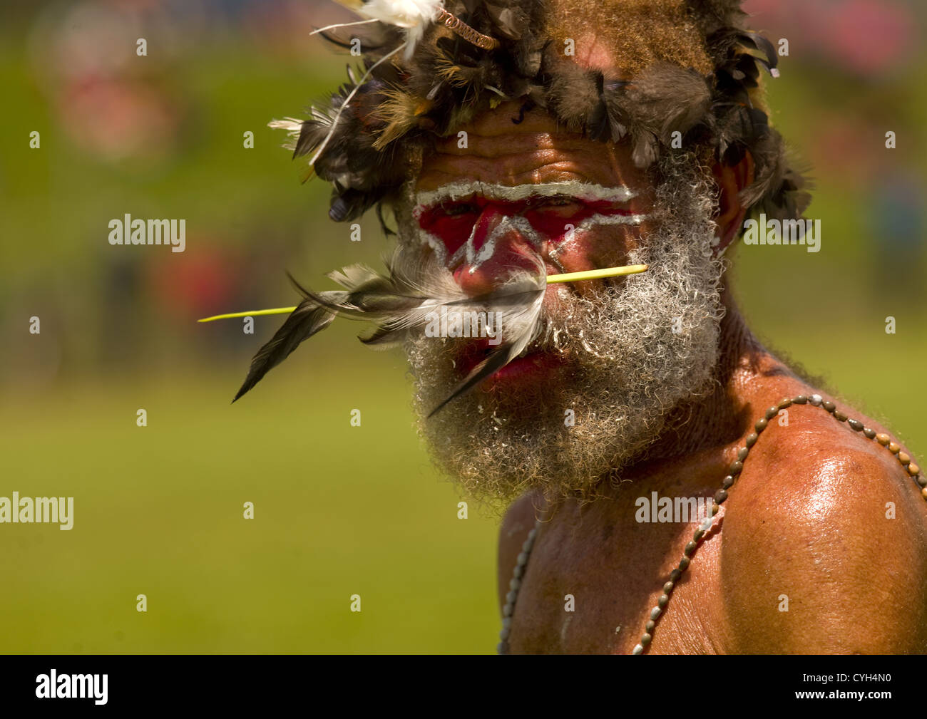 Highlander Warrior During Mt Hagen Sing Sing, Western Highlands, Papua ...