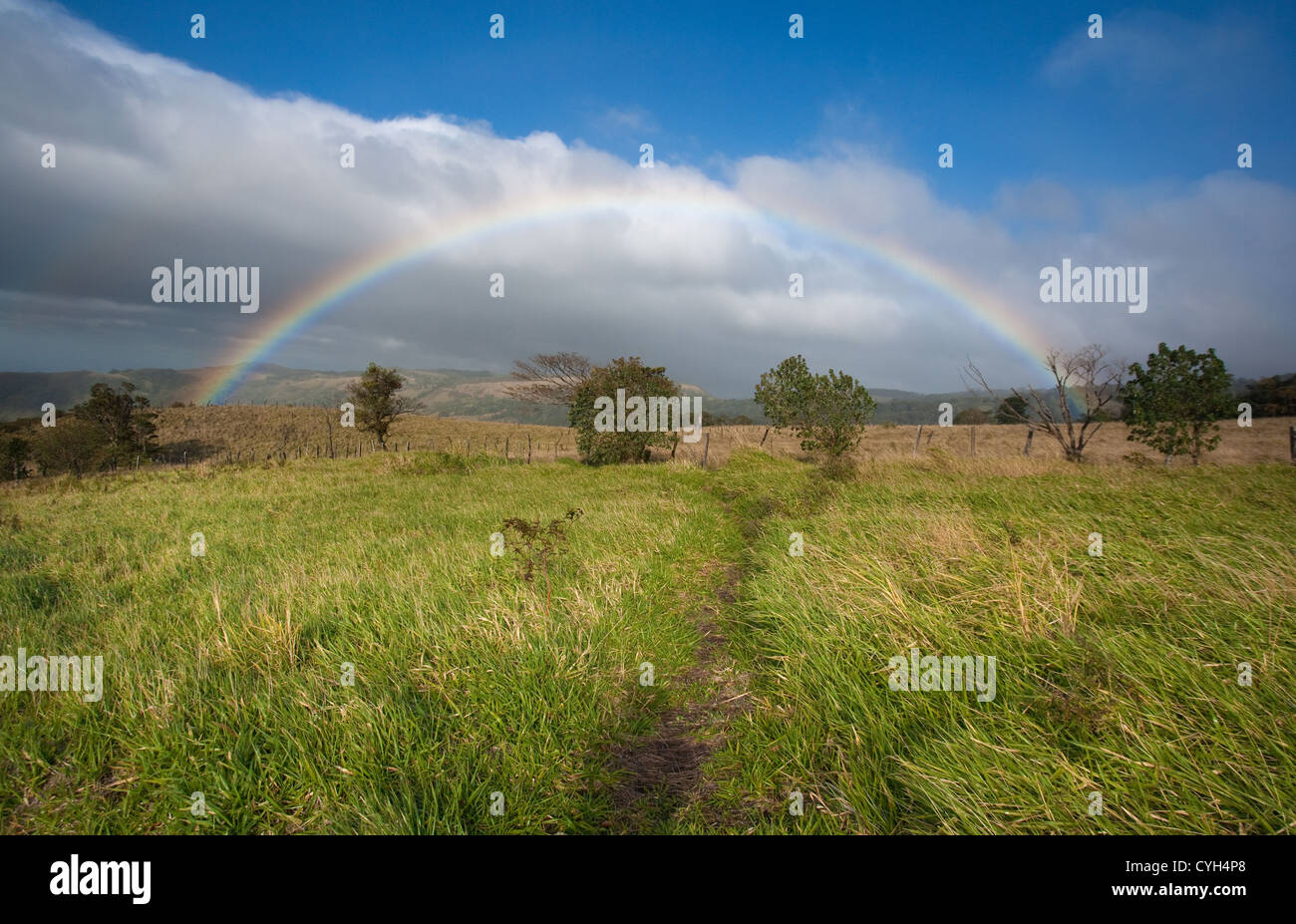 Beautiful rainbow over mud path in wide meadow Stock Photo - Alamy