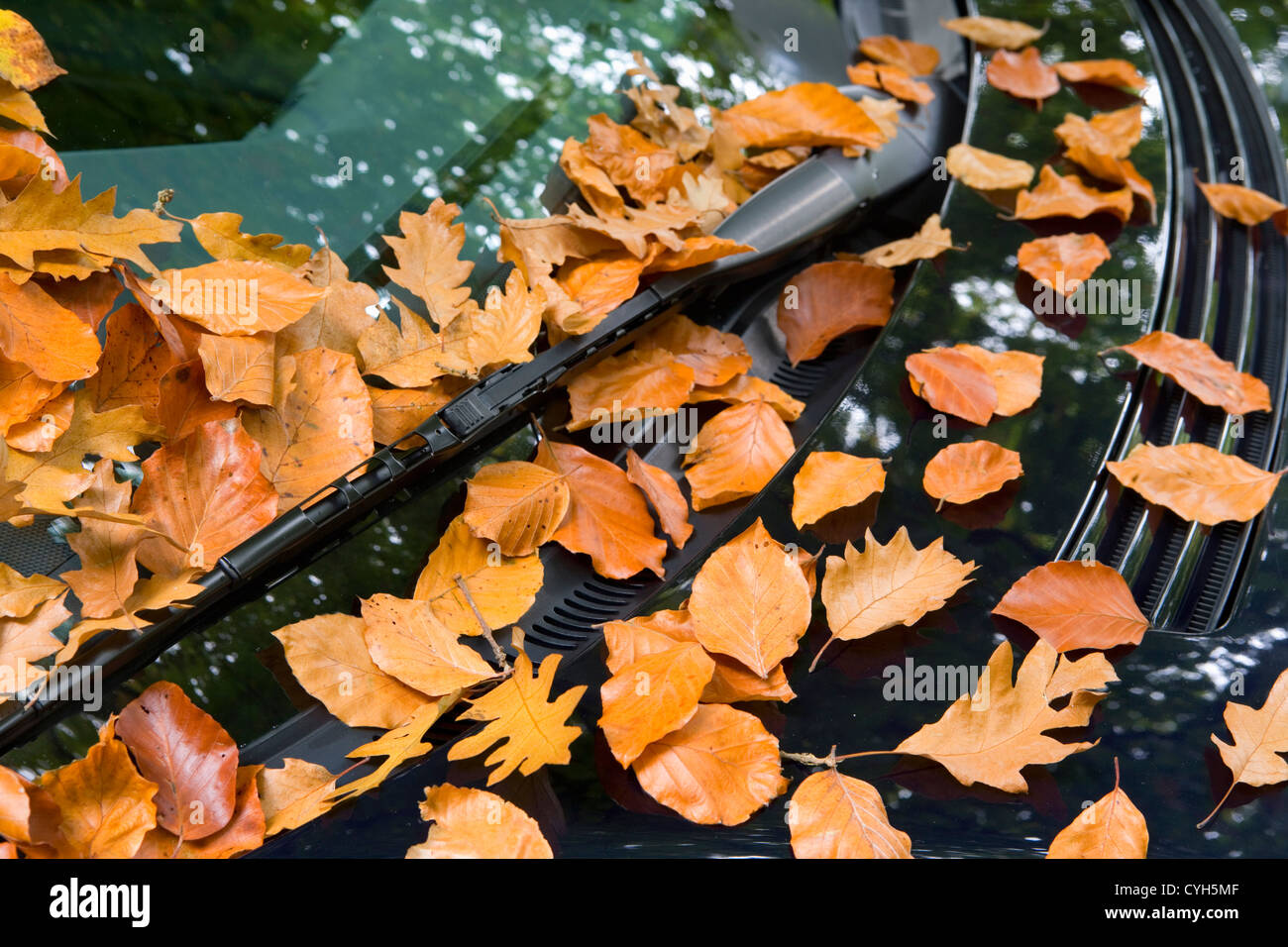 Windscreen yellow hi-res stock photography and images - Alamy
