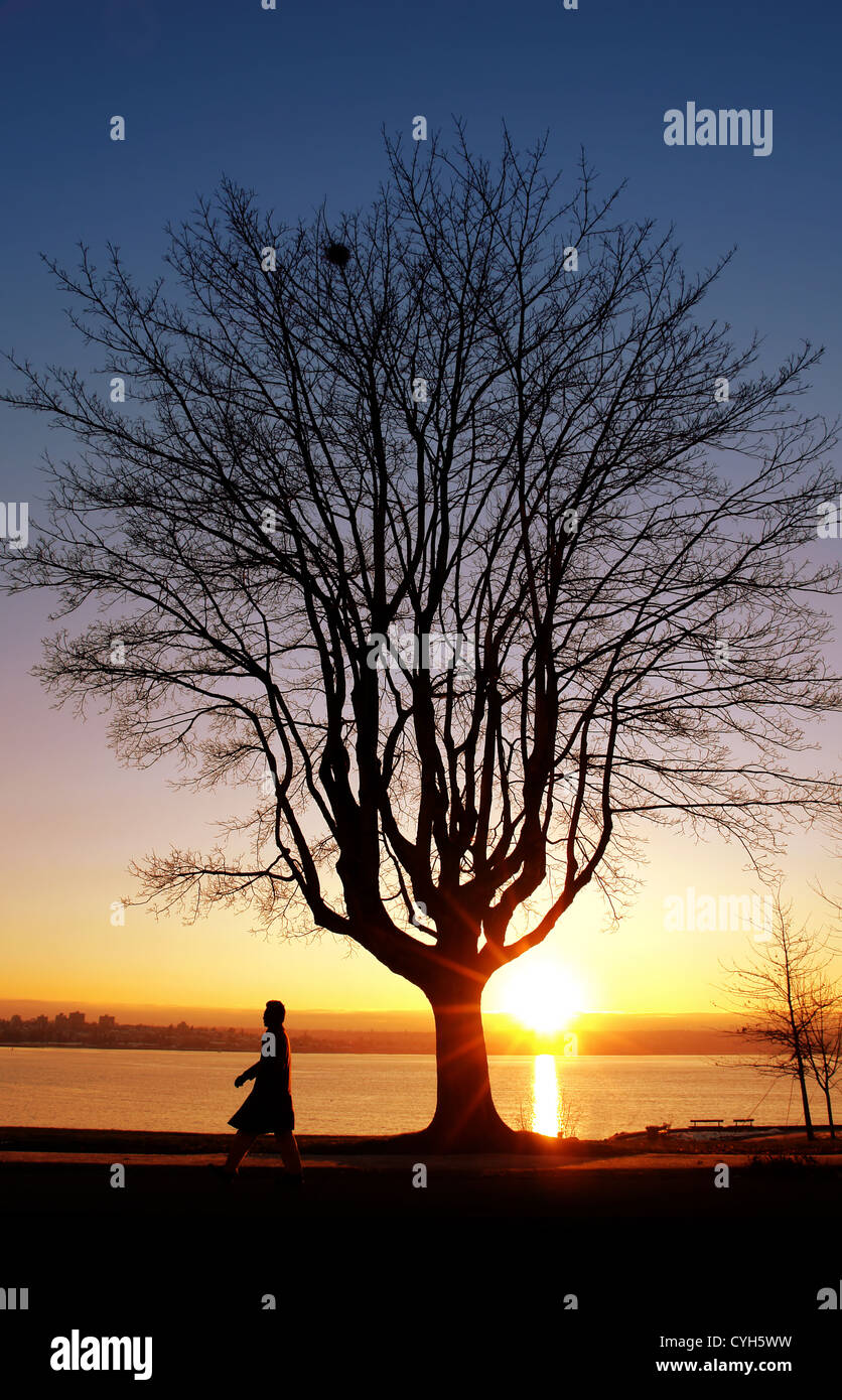 Man walking at sunset Stock Photo - Alamy