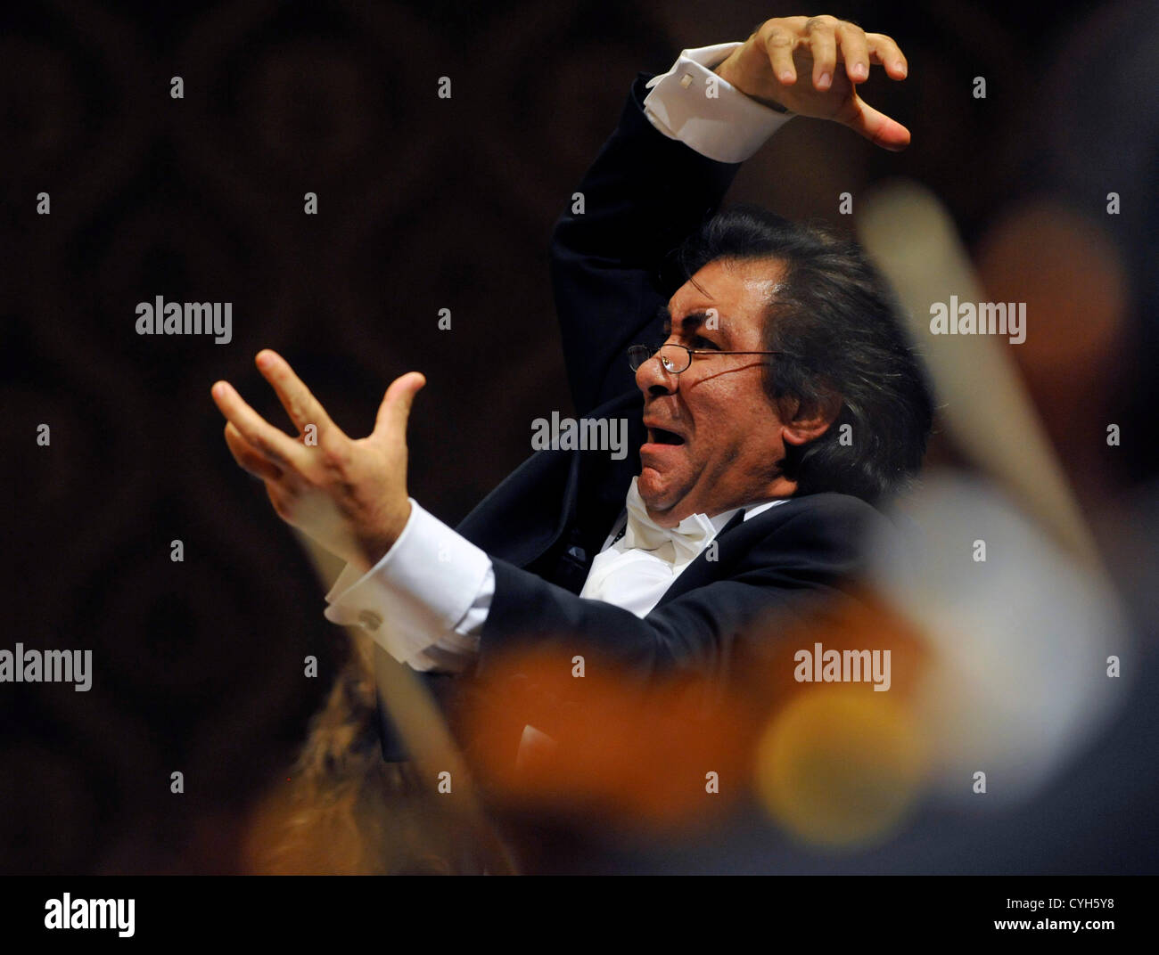 A performance of the Requiem for Auschwitz by Dutch Romany composer ...