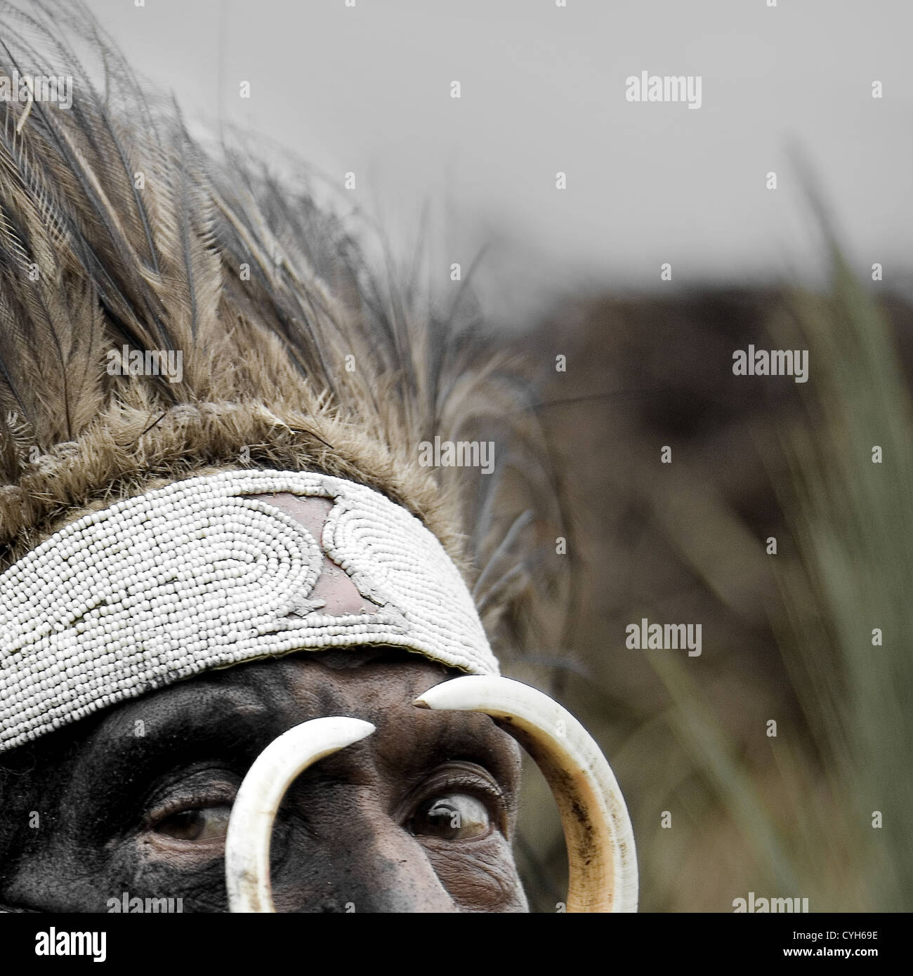 Whagi Tribe Man During Mt Hagen Sing Sing, Western Highlands, Papua New ...