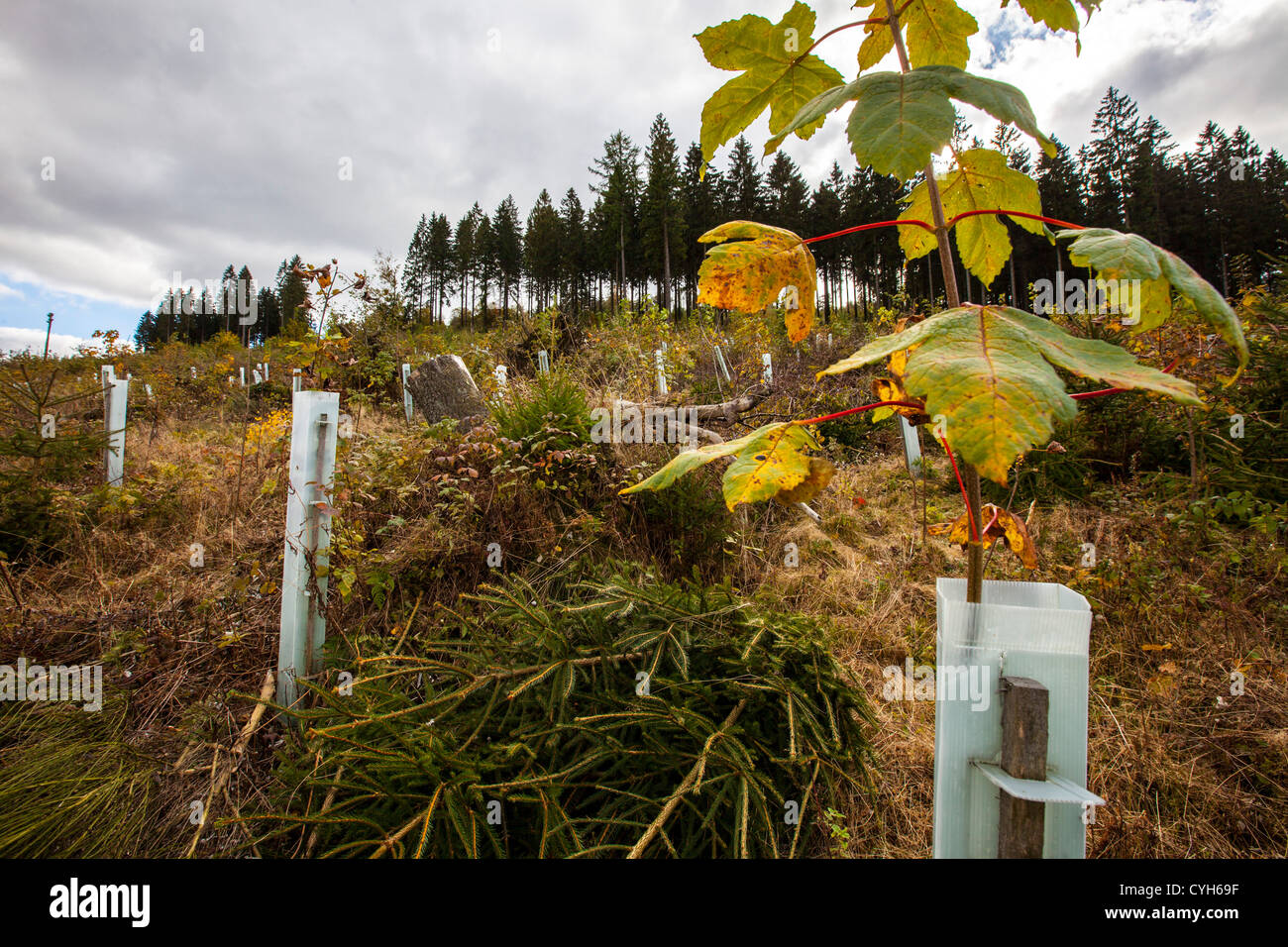 Huge area destroyed hi-res stock photography and images - Alamy