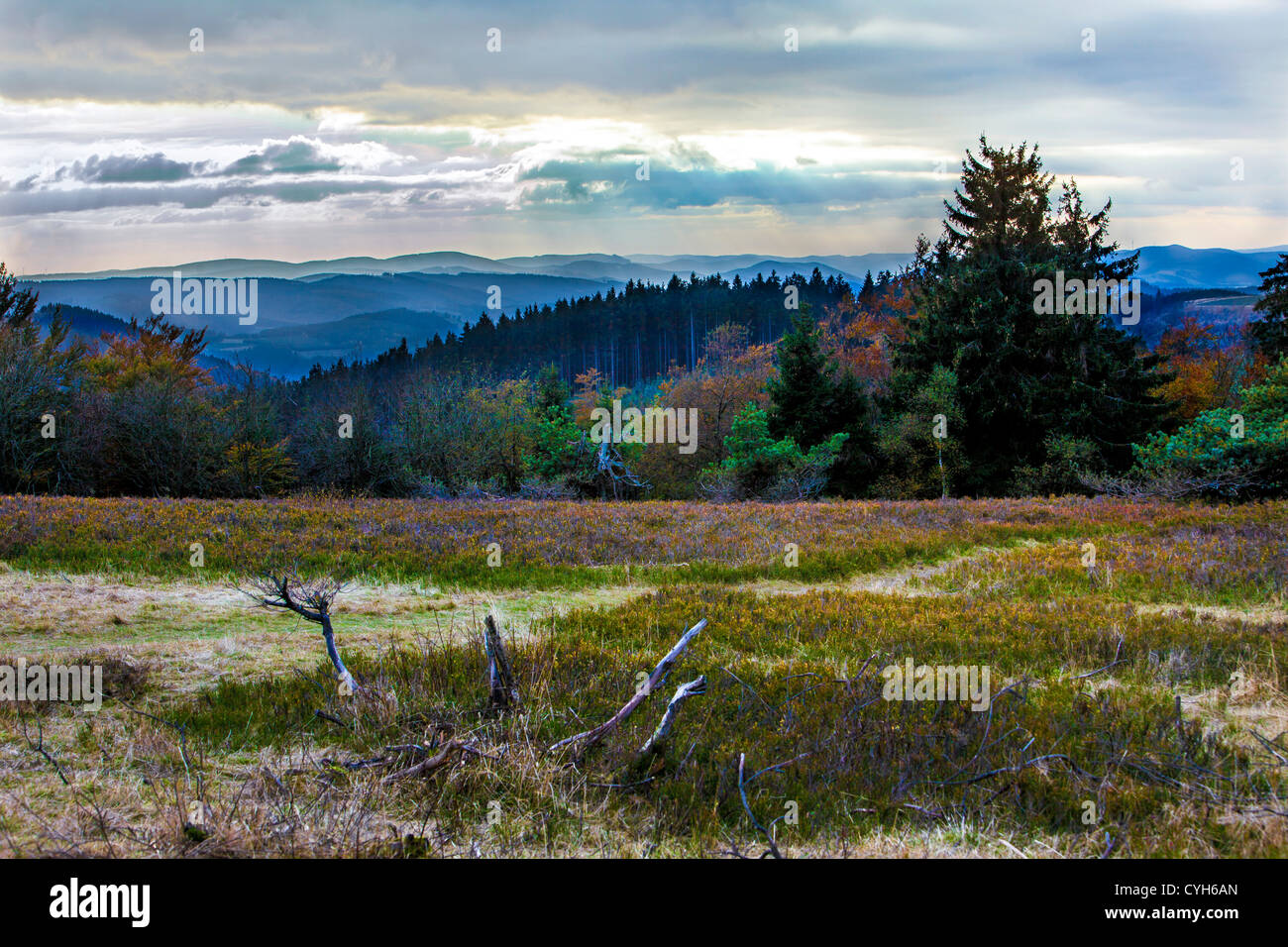 Mountain area Kahler Aste, highest Mountain, 841 meter, in North Rhine ...