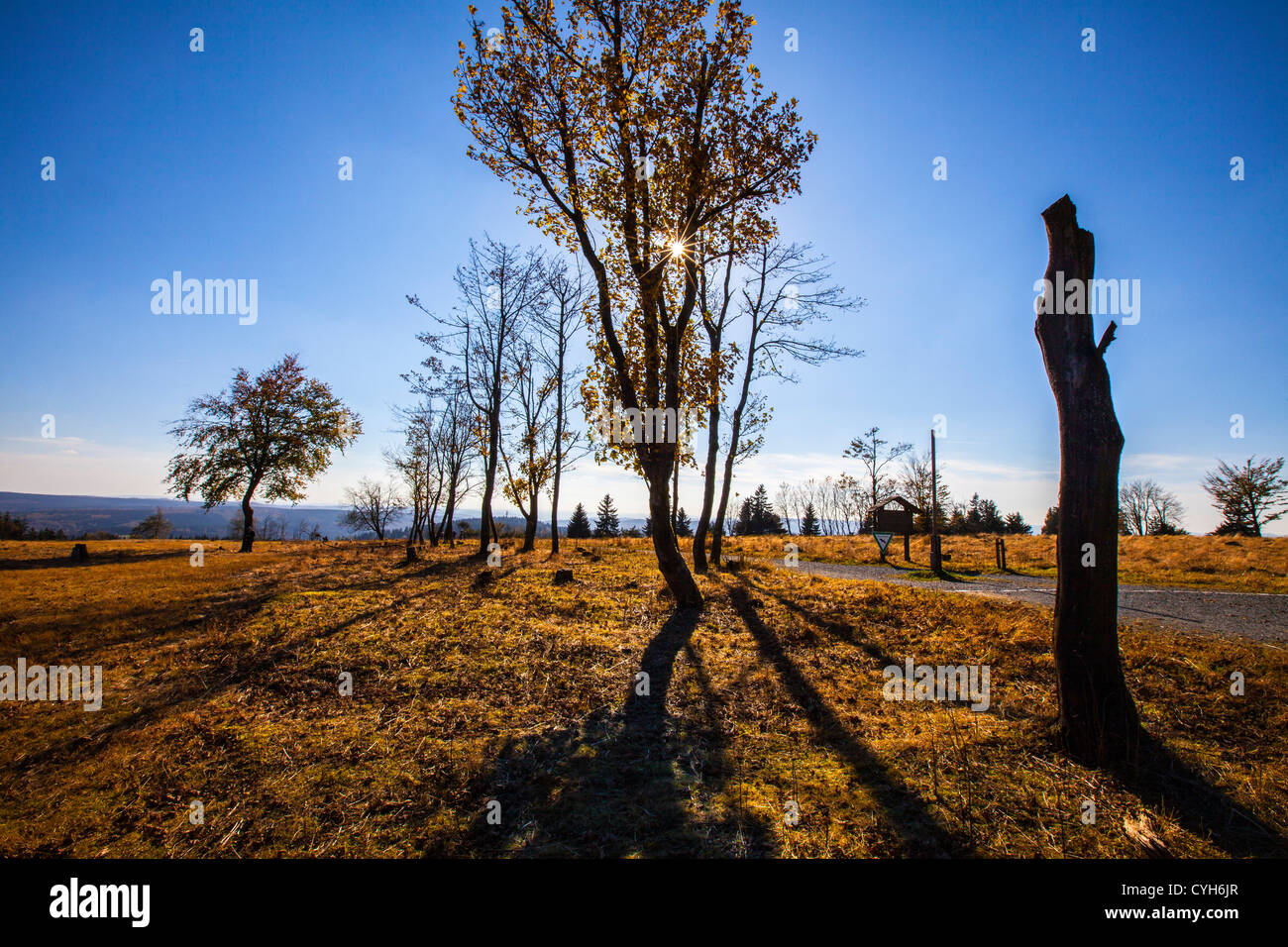Mountain area Kahler Aste, highest Mountain, 841 meter, in North Rhine ...
