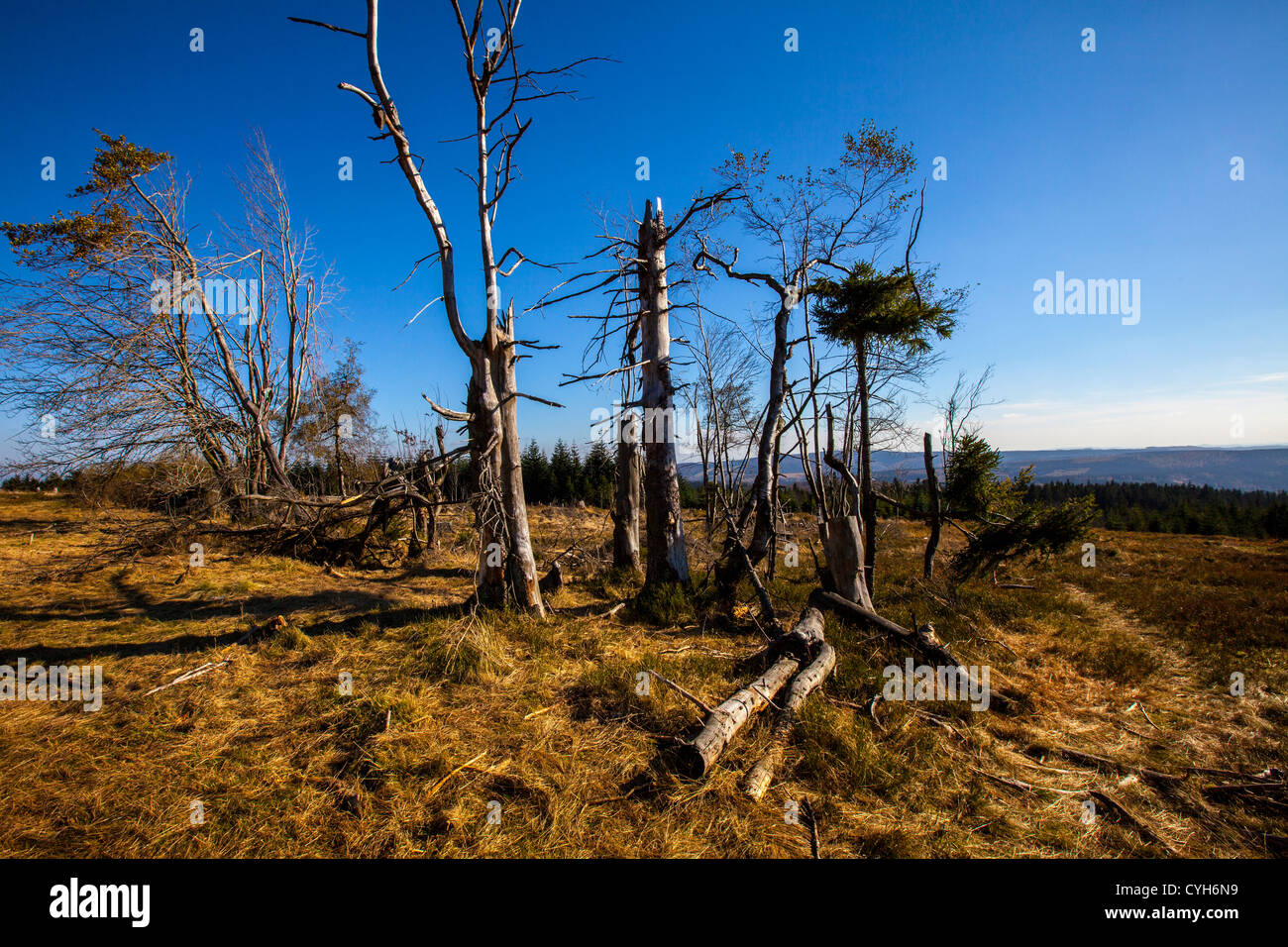 Mountain area Kahler Aste, highest Mountain, 841 meter, in North Rhine ...