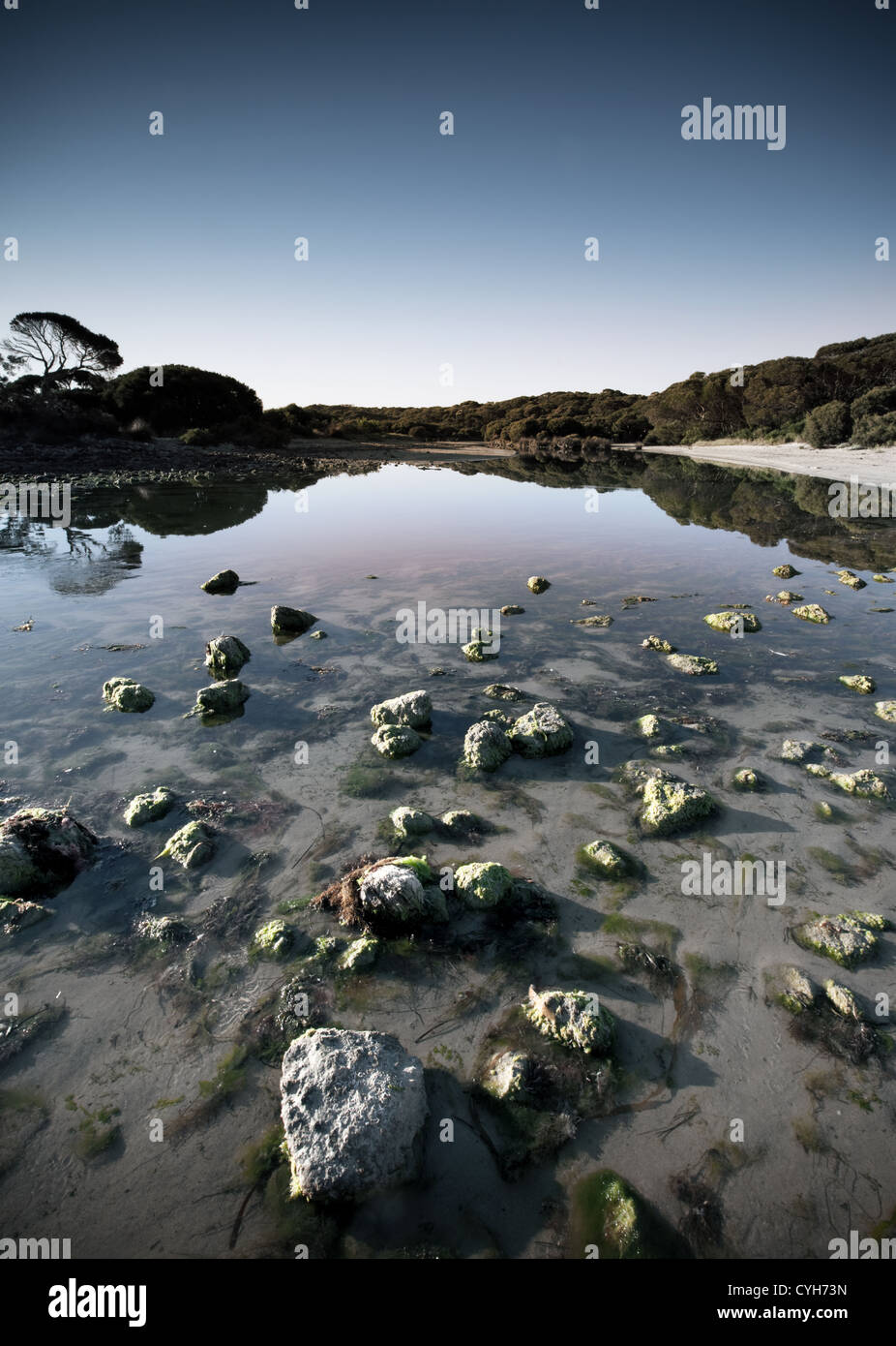 Calm water stream hi-res stock photography and images - Alamy