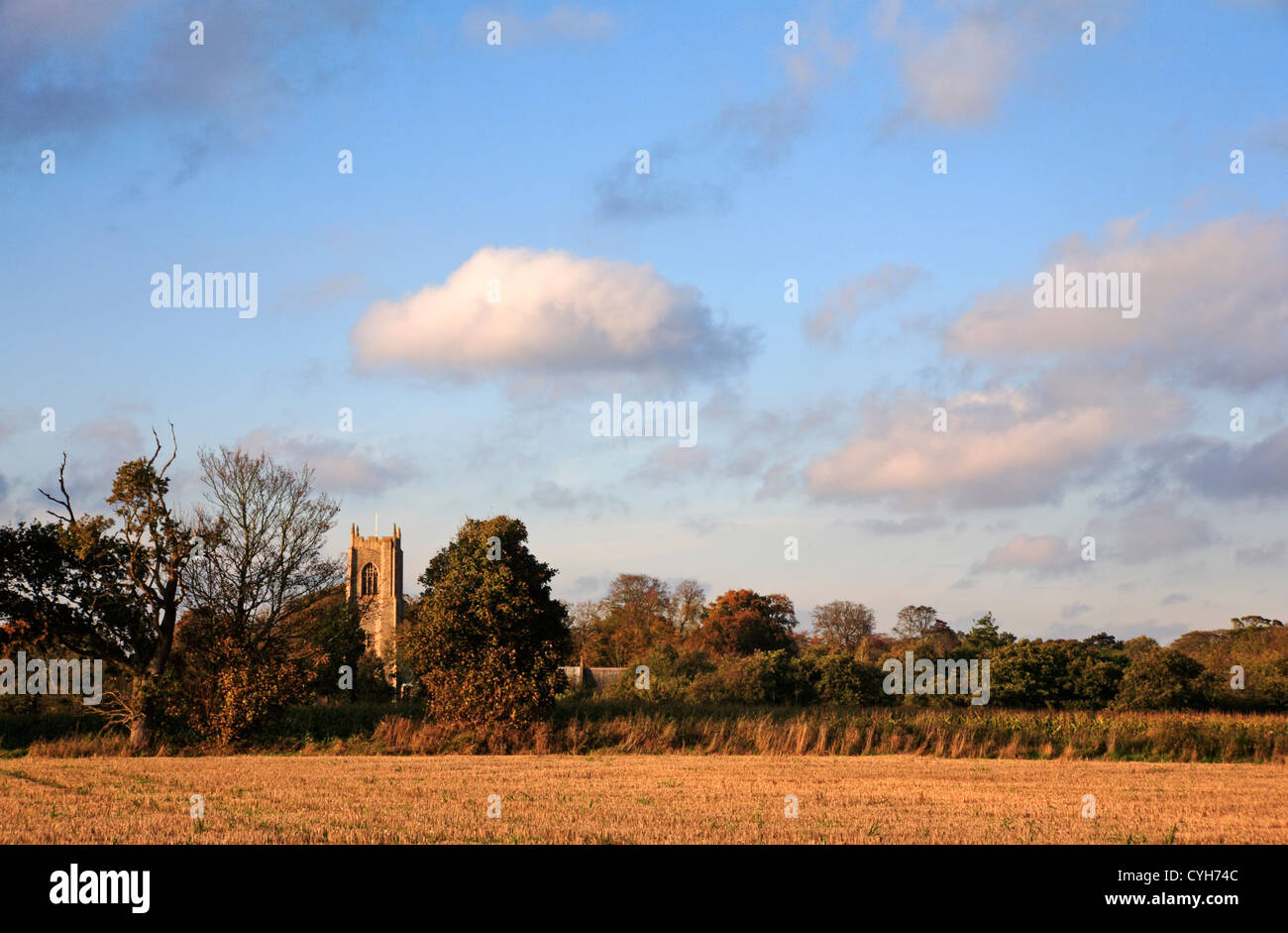 An autumn scene in the countryside with a church tower among trees at ...