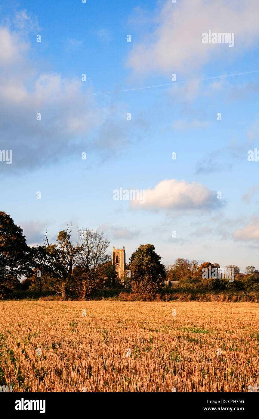 An autumn scene in the countryside with a church tower among trees at ...