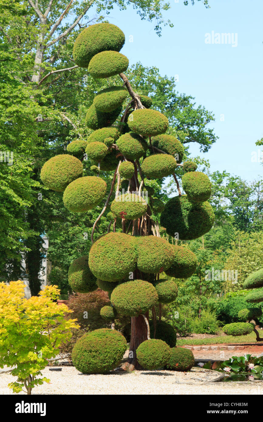 Topiary balls hi-res stock photography and images - Alamy