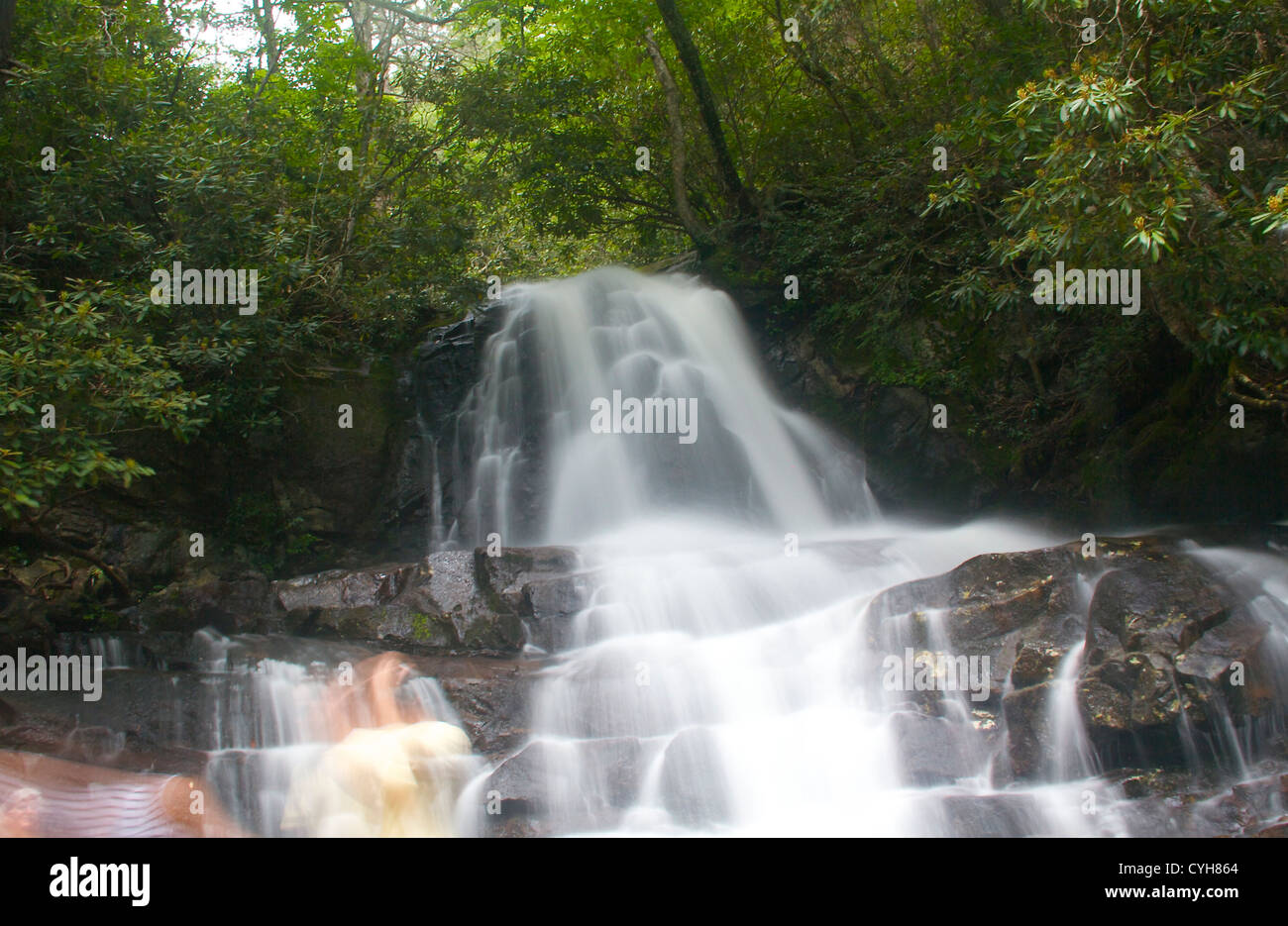 Tropical view water fall hi-res stock photography and images - Alamy