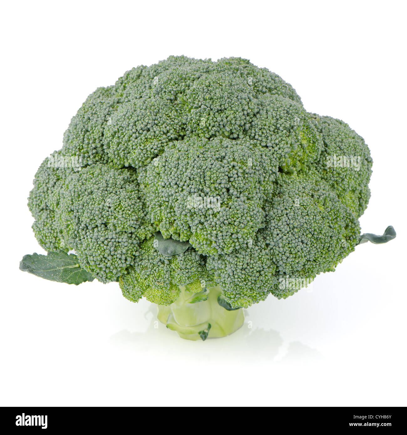 Broccoli single objects vegetables hi-res stock photography and images ...