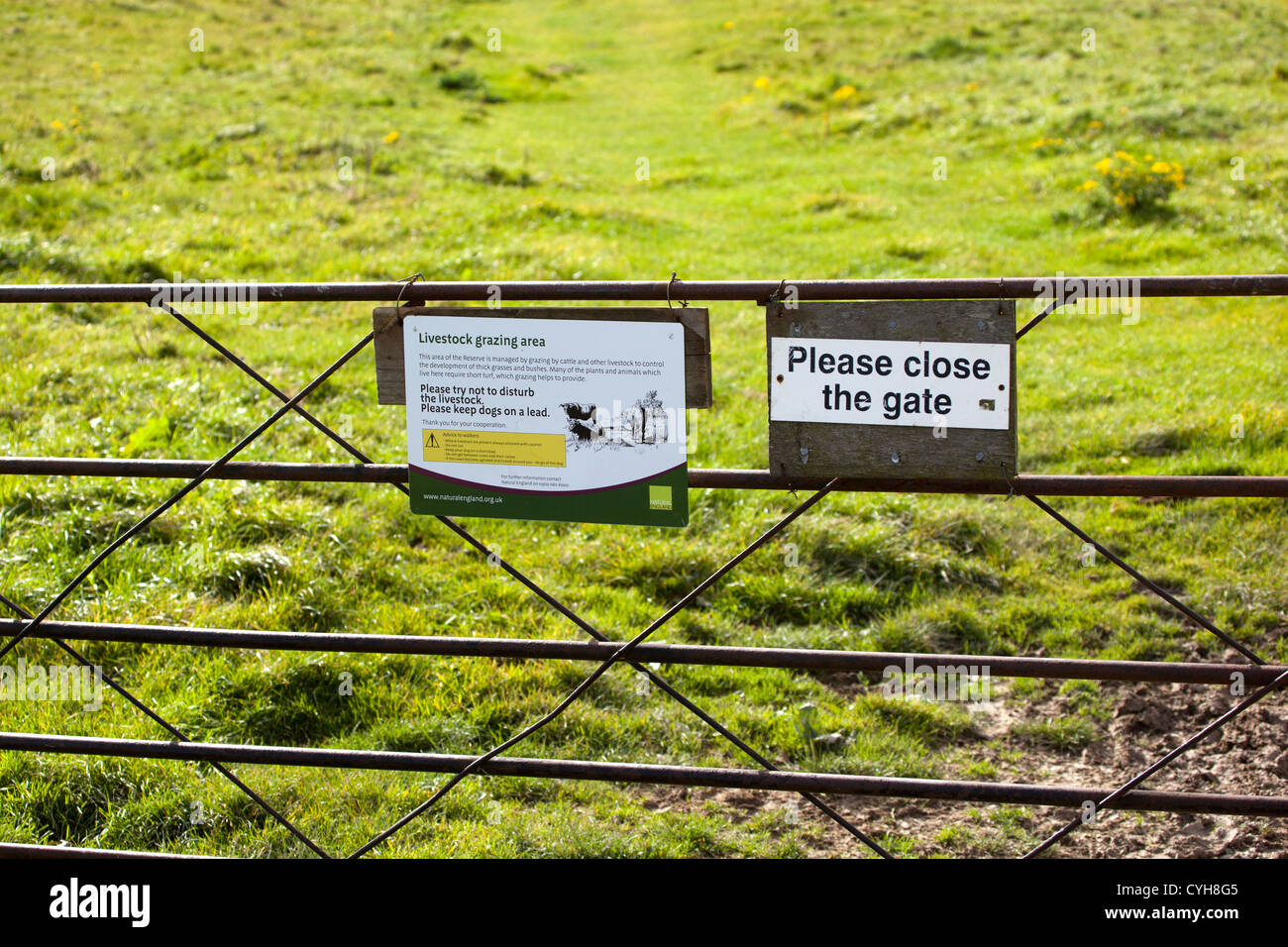 Livestock Grazing Area Sign on Farm Gate Stock Photo - Alamy