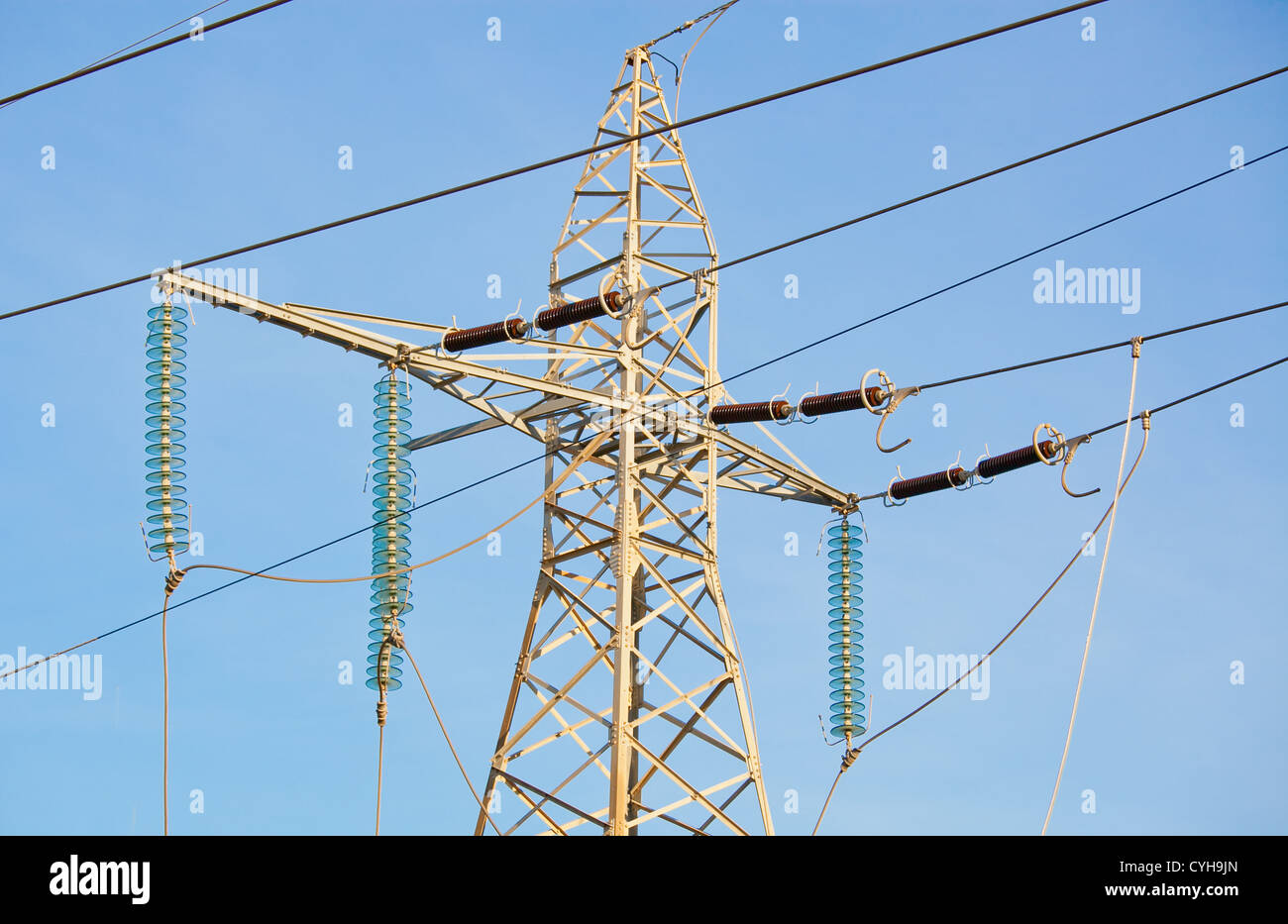 High voltage electricity pylon for the transport and transformation ...