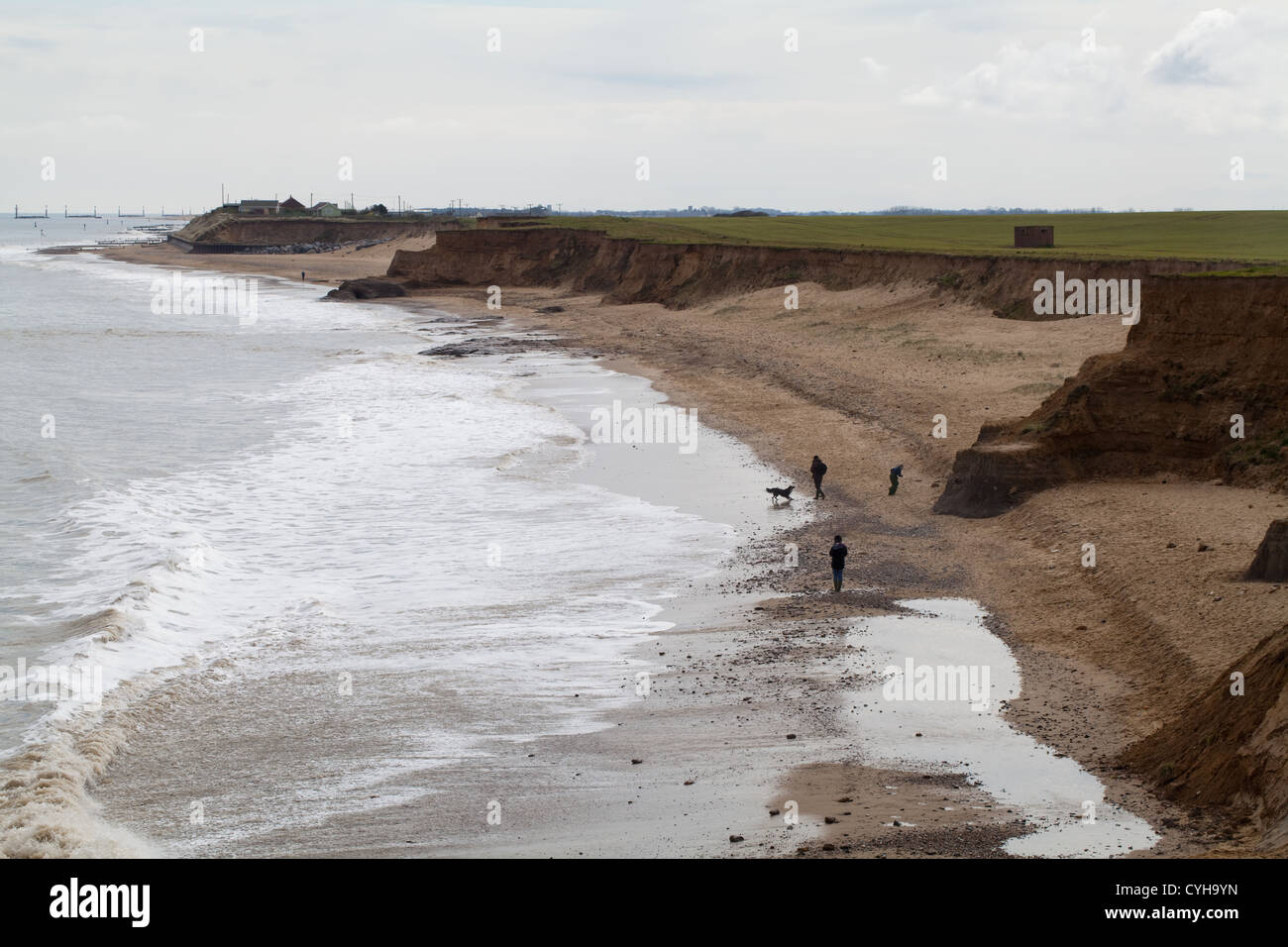 Walkers and dog on Happisburgh beach. Norfolk. Tide encroaches and will ...