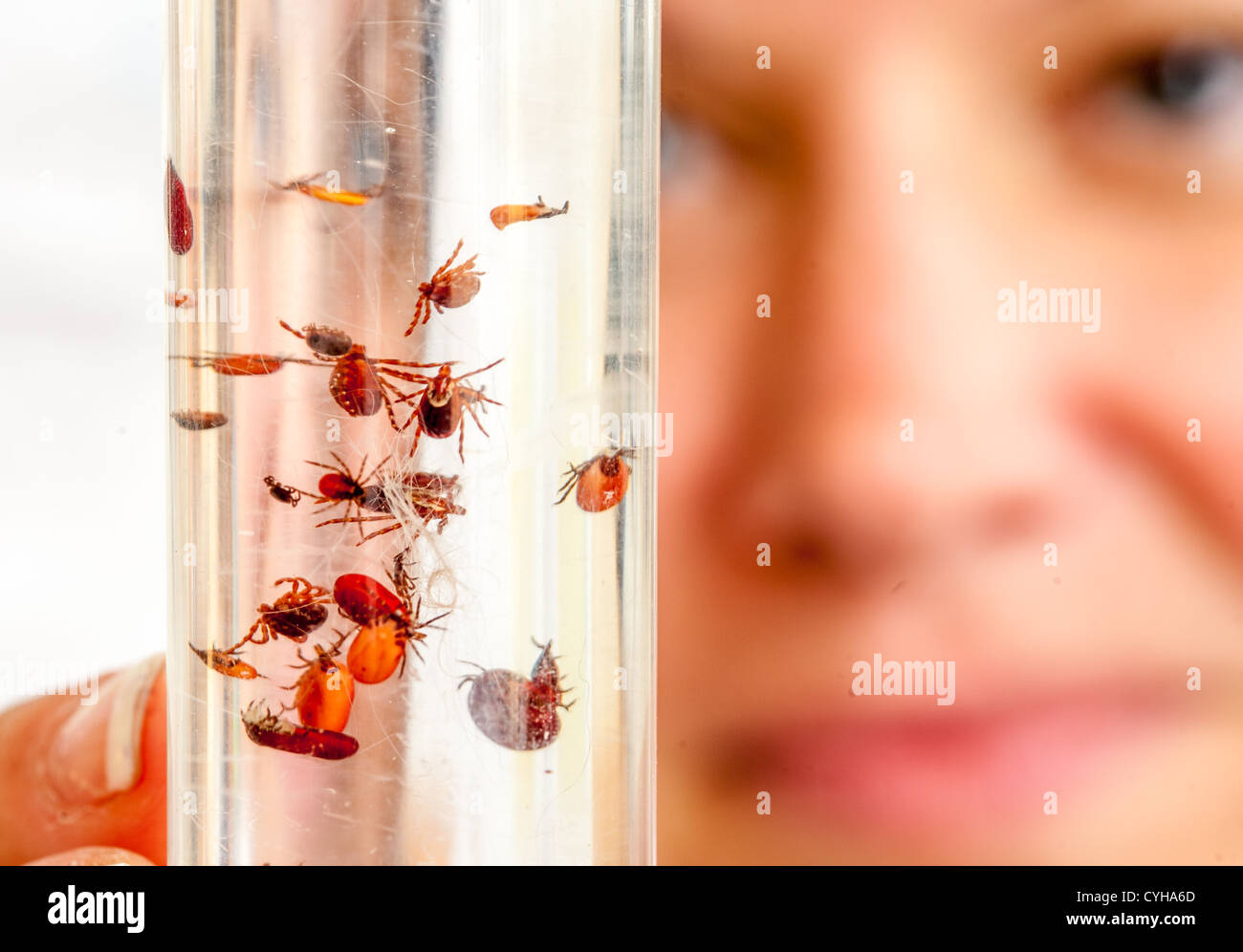 Microscope lab insects hi-res stock photography and images - Alamy
