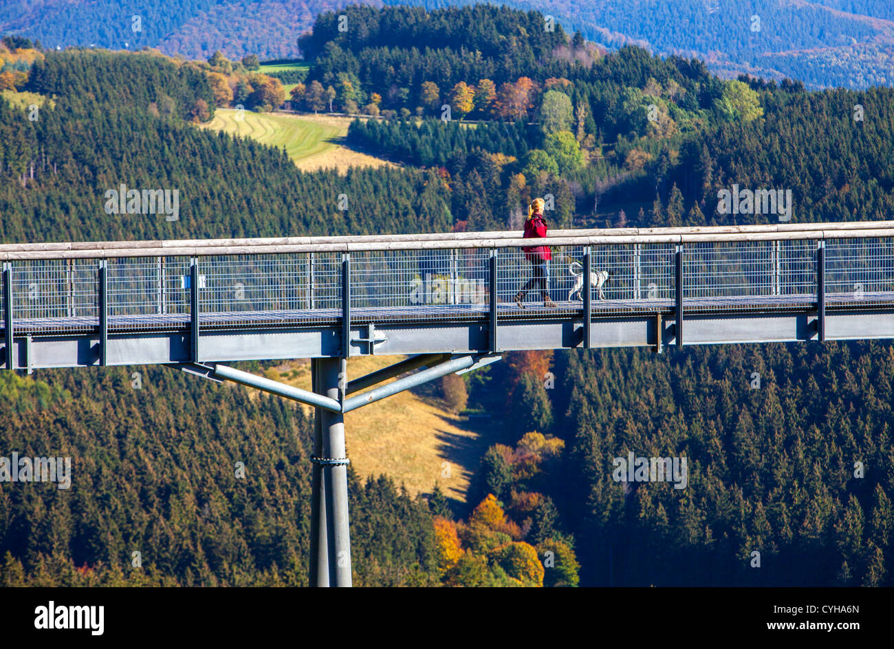 Panoramic experience bridge, 400 meter long bridge over trees and a ...