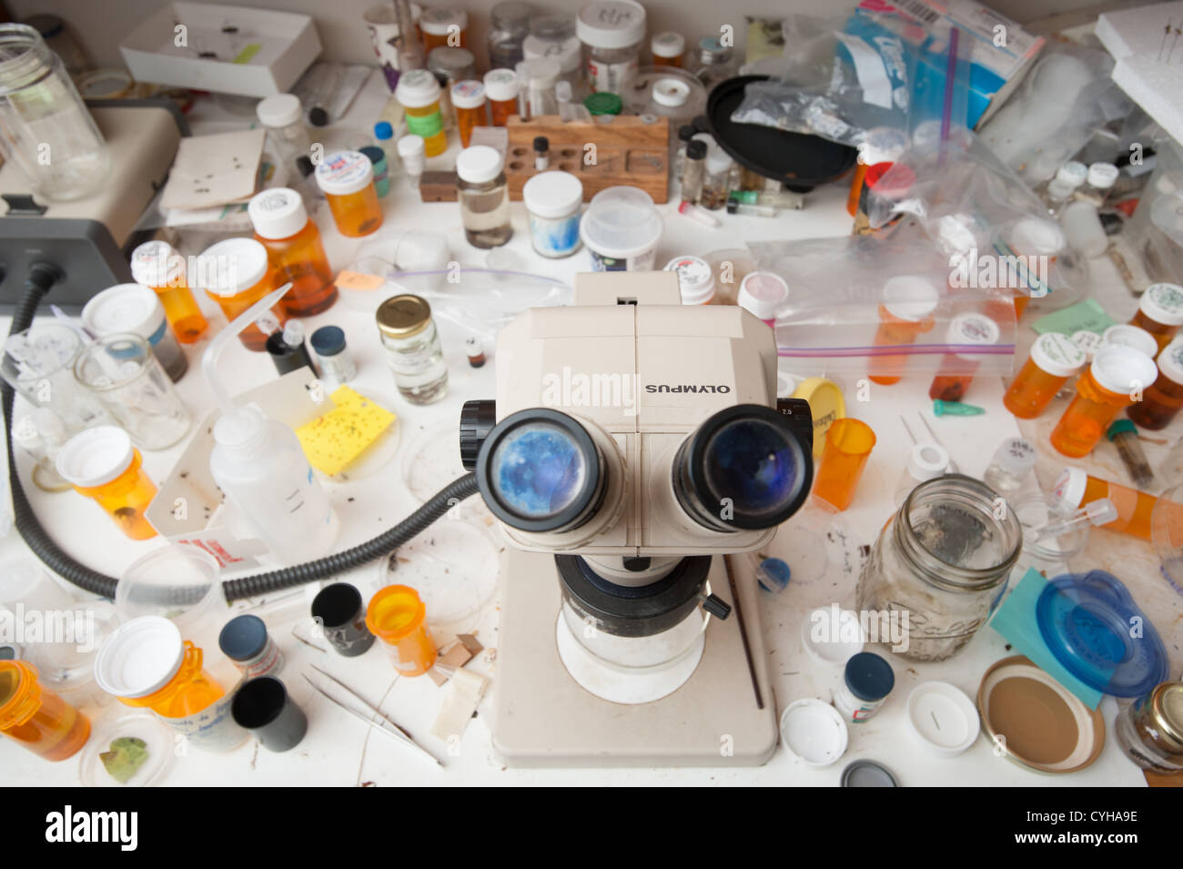 Lab facility with desktop of samples bottles, microscope, pill bottles ...