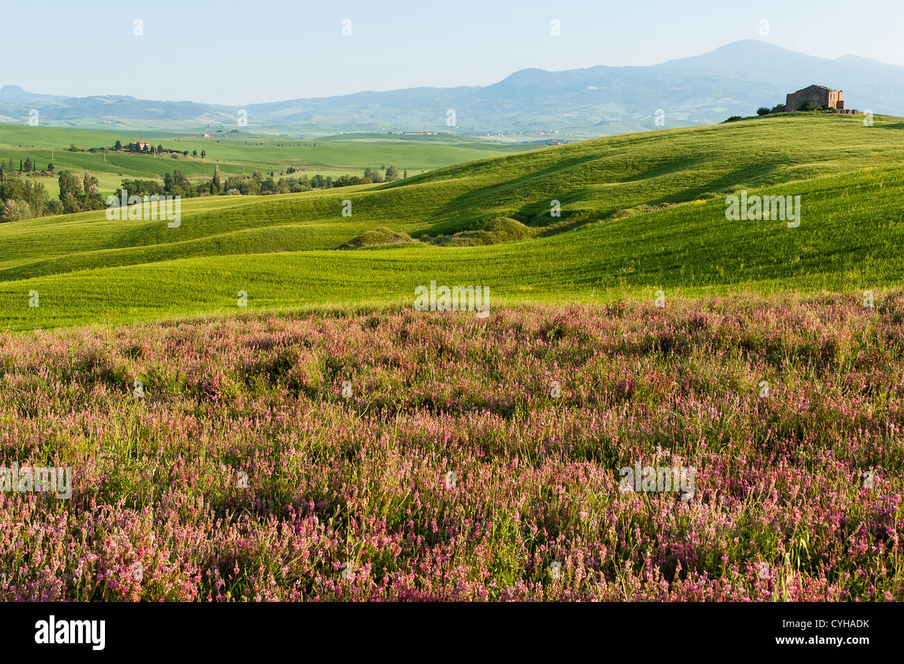 Typical Tuscan landscape in spring Stock Photo - Alamy