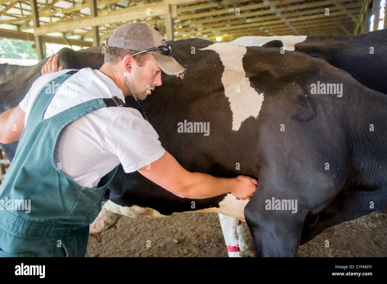Animal inspection hi-res stock photography and images - Alamy