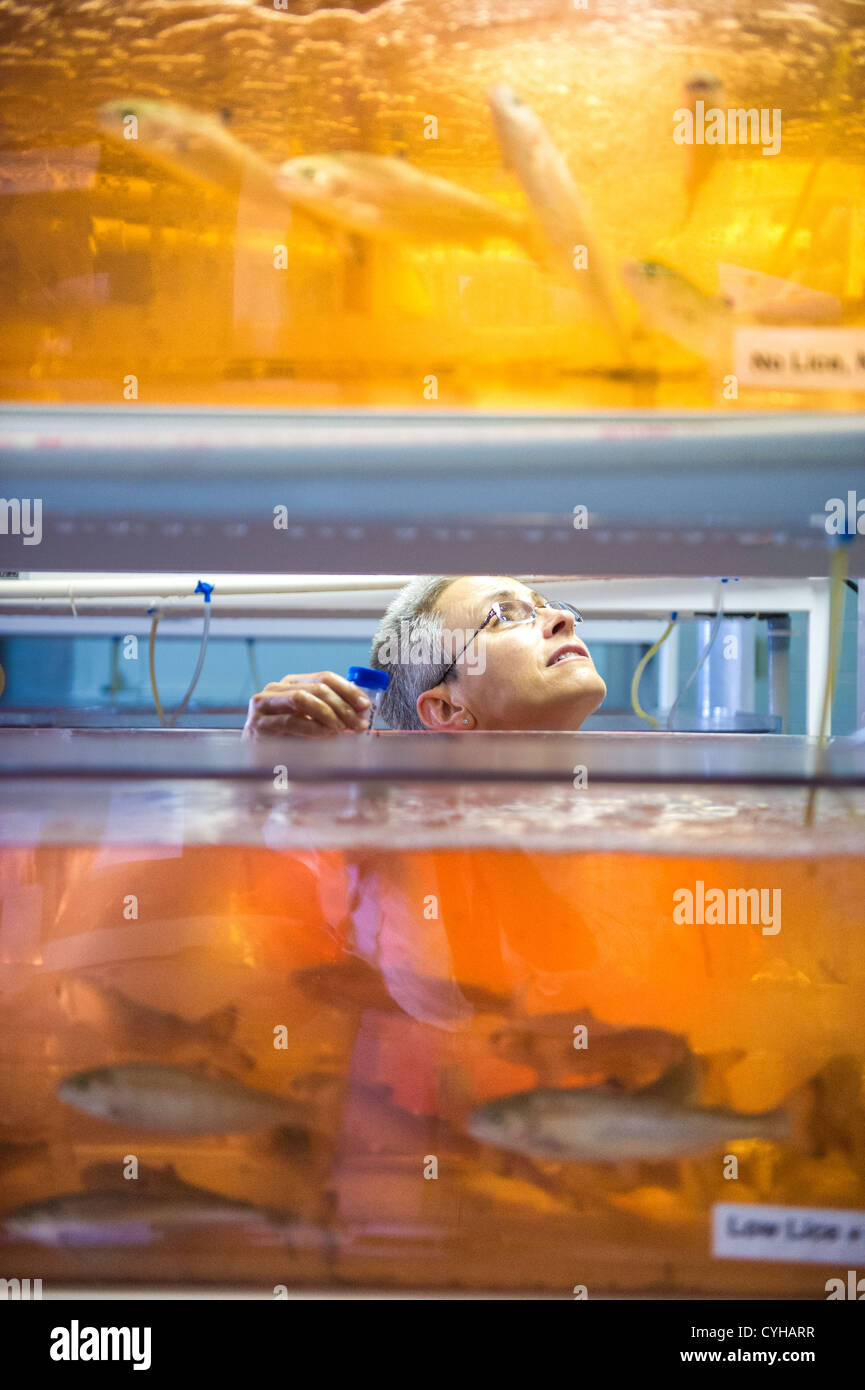 Aquatics hi-res stock photography and images - Alamy