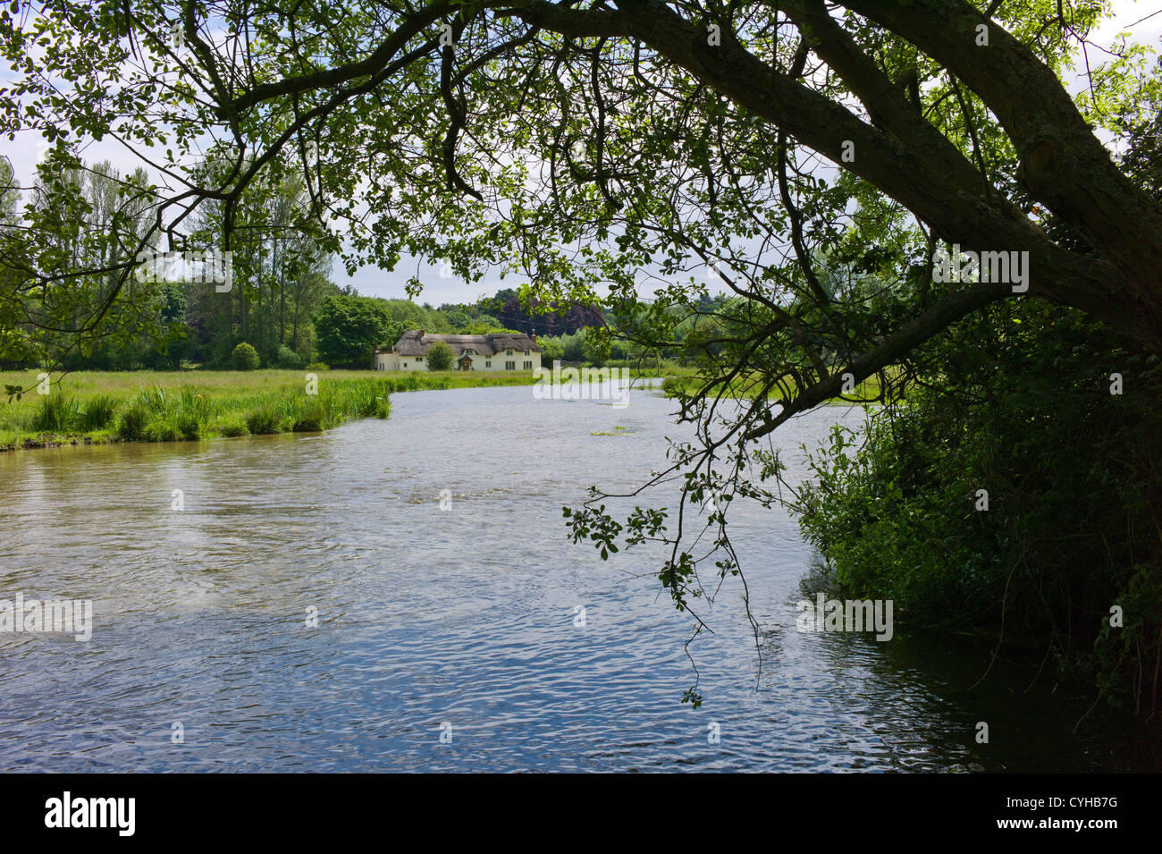 River Test at Chilbolton Cow Common, Hampshire, England, UK a Site of ...