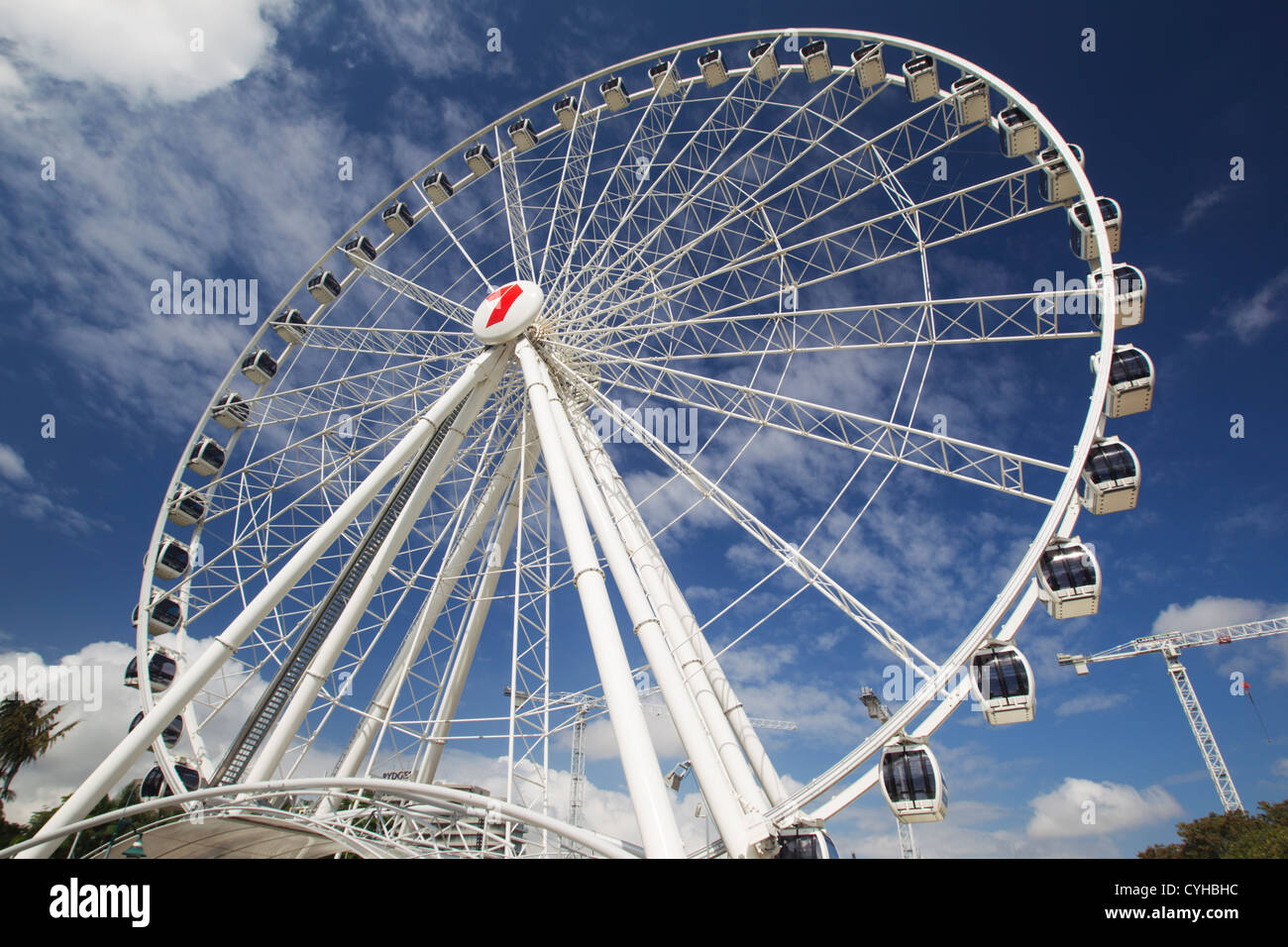 Wheel of Brisbane, Queensland Australia Stock Photo - Alamy