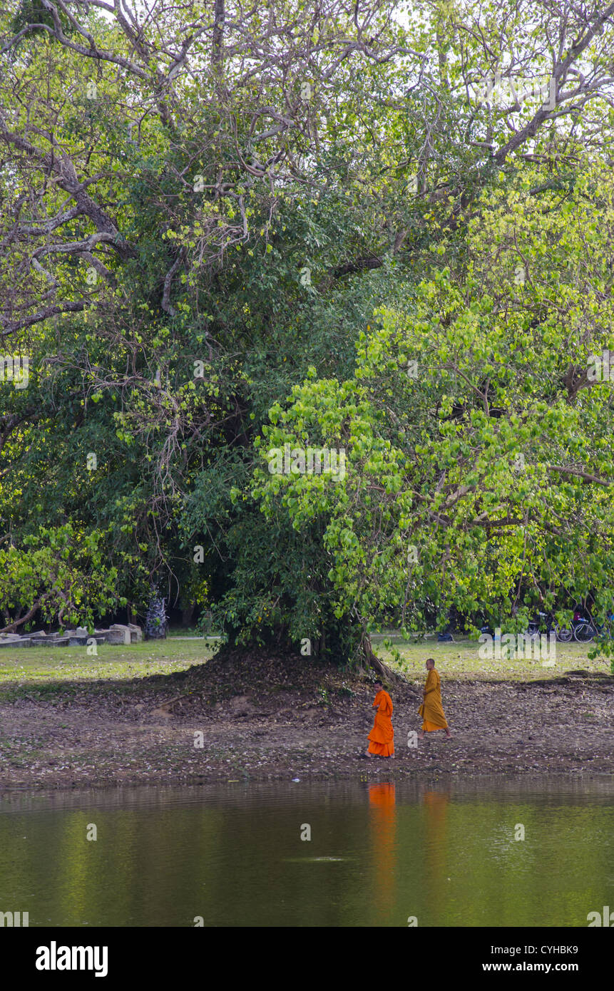 Two buddhist monk hi-res stock photography and images - Alamy