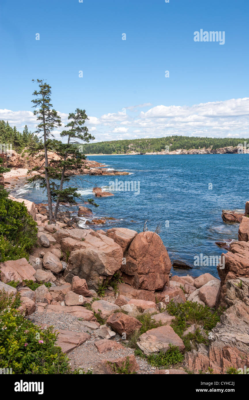 Rocky terrain of Acadia National Park shoreline, Bar Harbor ME Stock ...