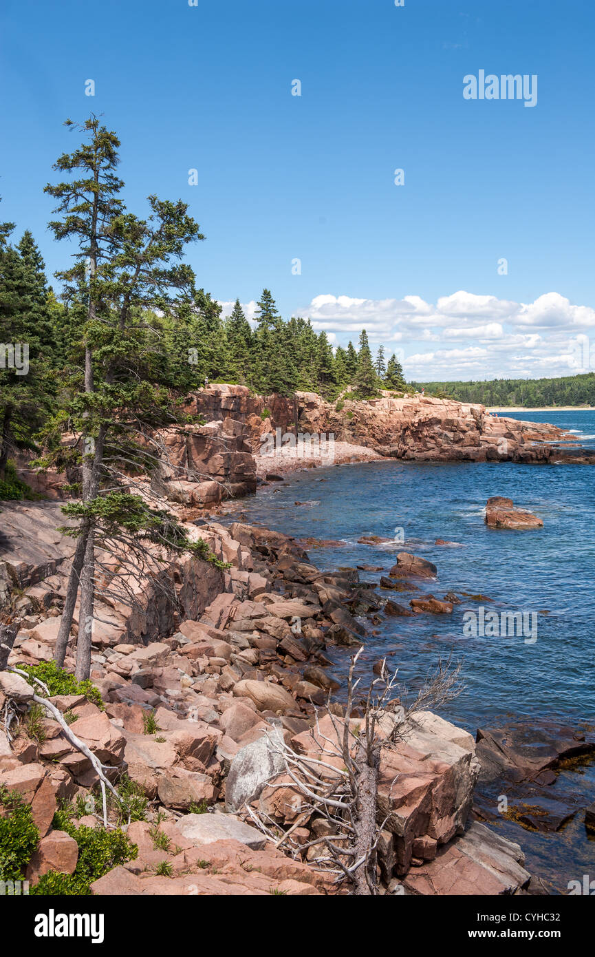 Rocky terrain of Acadia National Park shoreline, Bar Harbor ME Stock ...