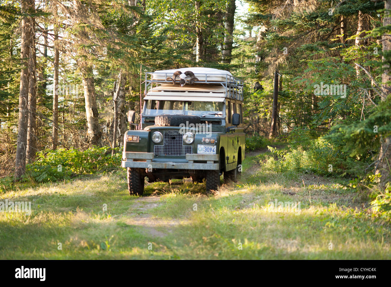 Land Rover truck camped out off road in Acadia National Park, Bar ...
