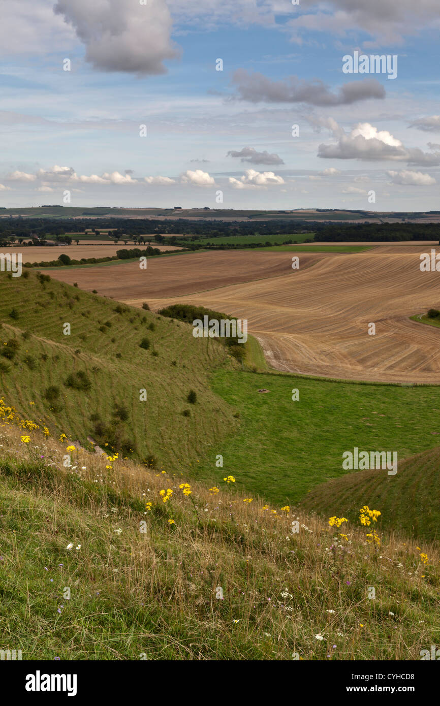 Vale of pewsey hi-res stock photography and images - Alamy