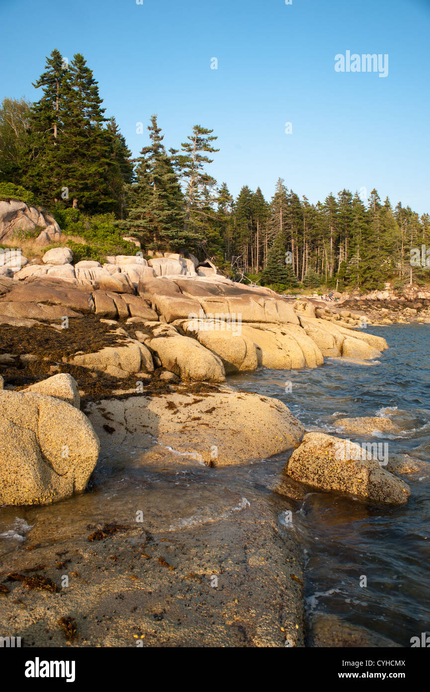Rocky terrain of Acadia National Park shoreline, Bar Harbor ME Stock ...