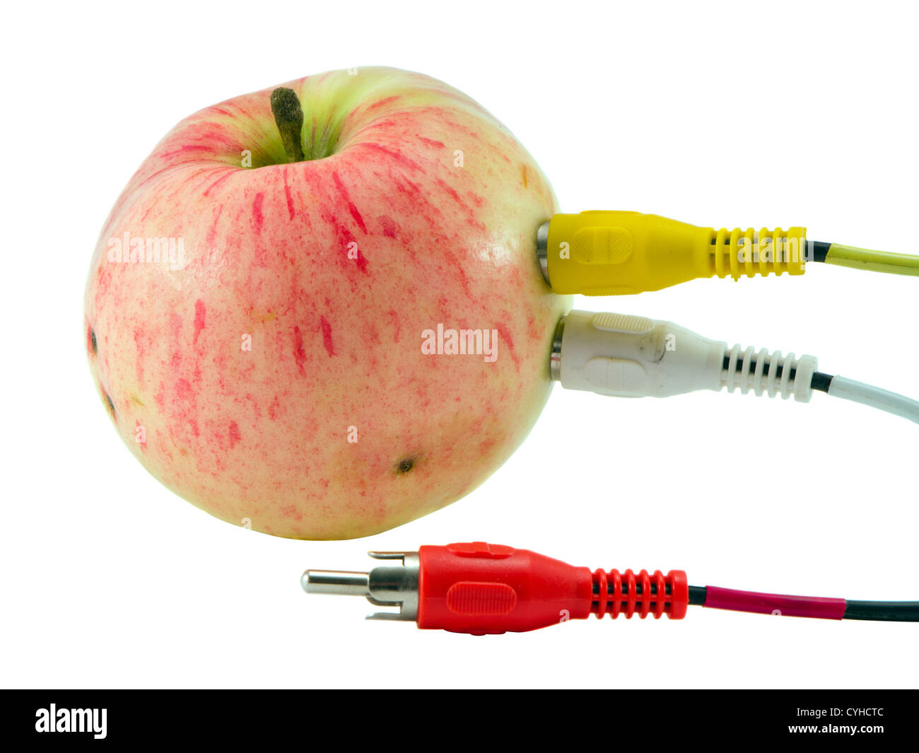 Tulip audio video wires plugs connected to apple concept. Colorful red ...
