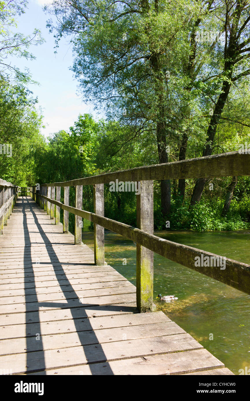 Footbridge across the River Test, a world renowned chalk stream at ...