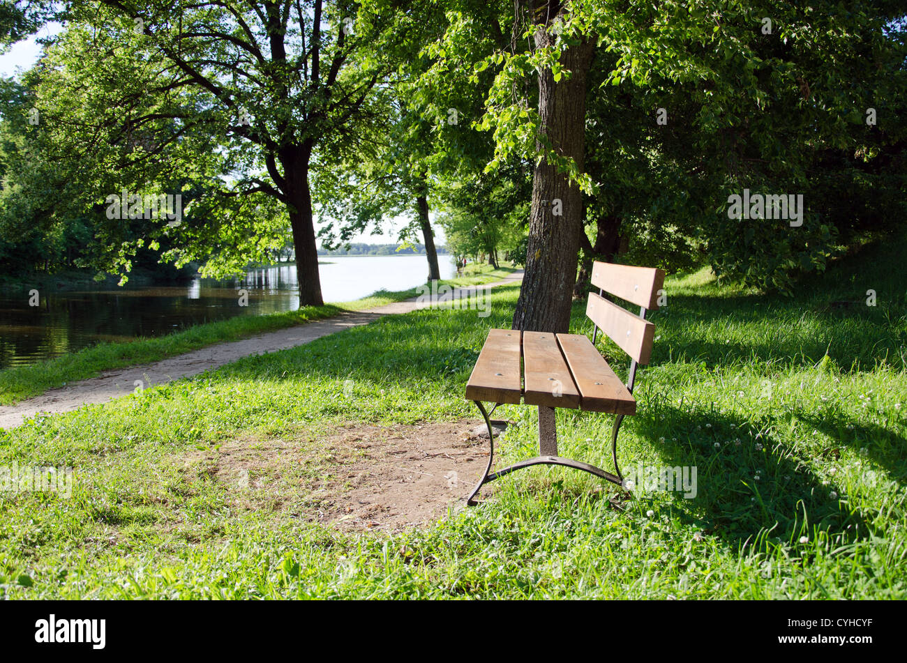 Wooden bench near lake resort. Small path between trees Stock Photo - Alamy